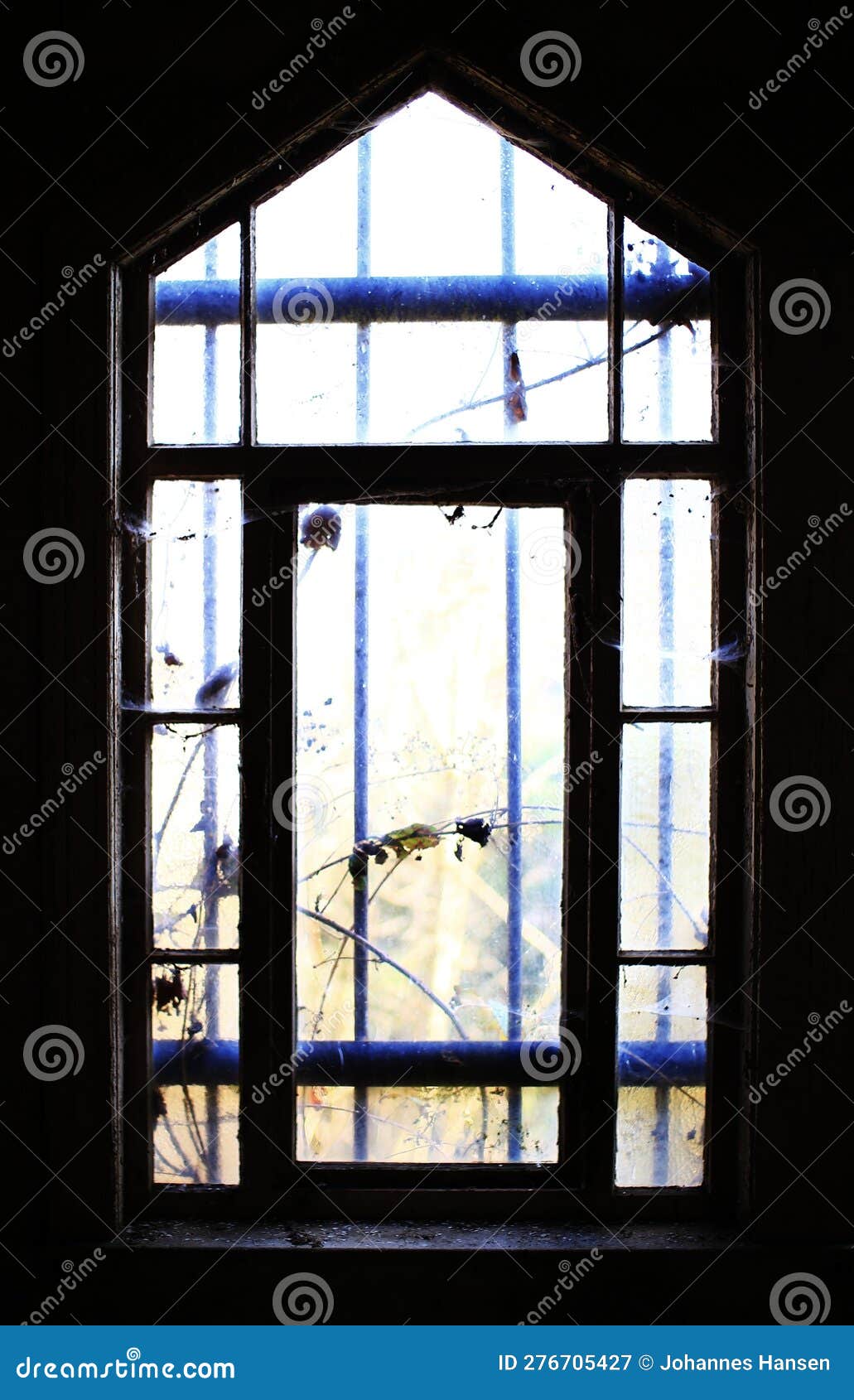 A Window with Bars and Vines in an Abandoned Building Stock Image ...