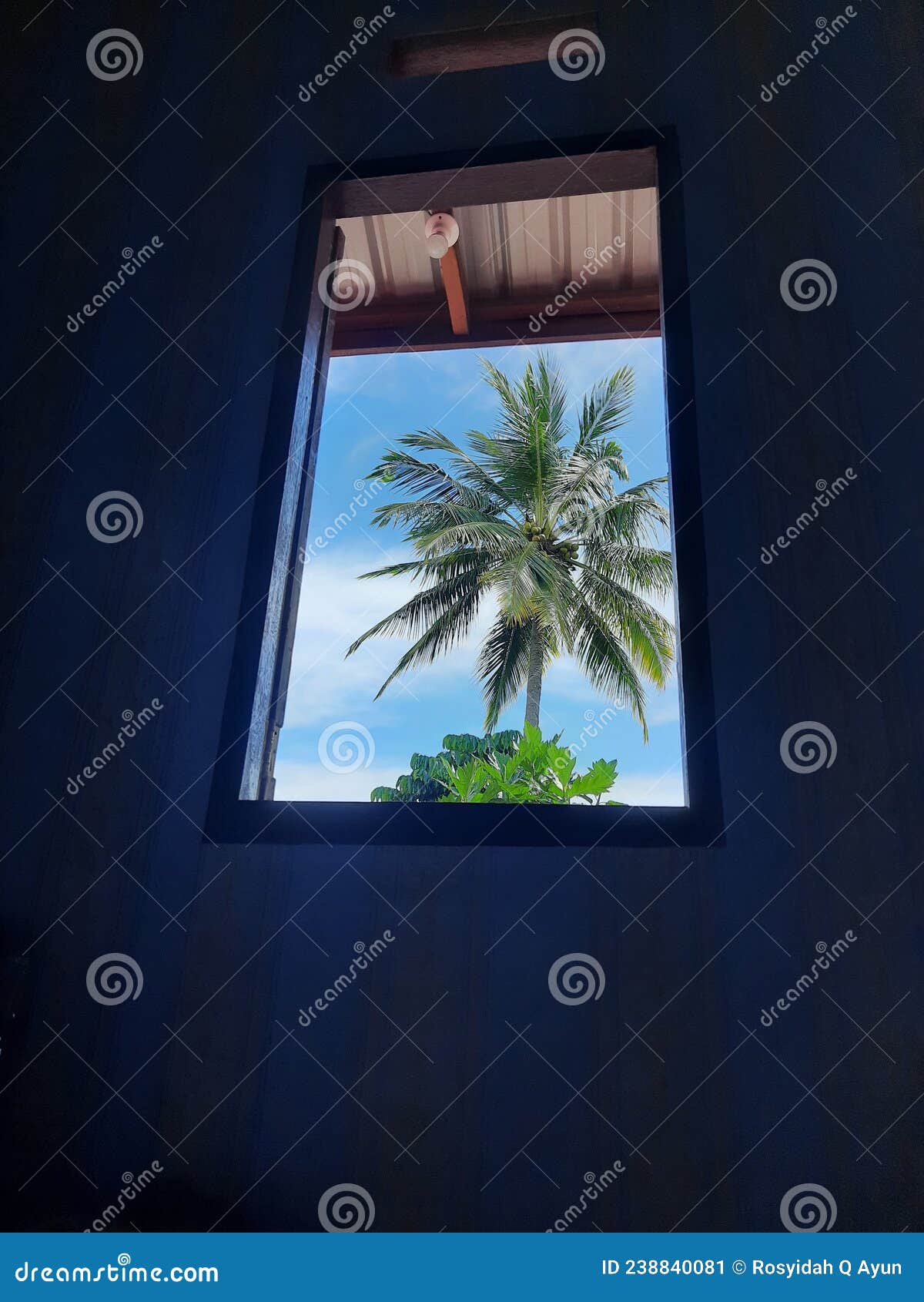 Window Beautiful Scenery with Coconut Tree Stock Image - Image of ...