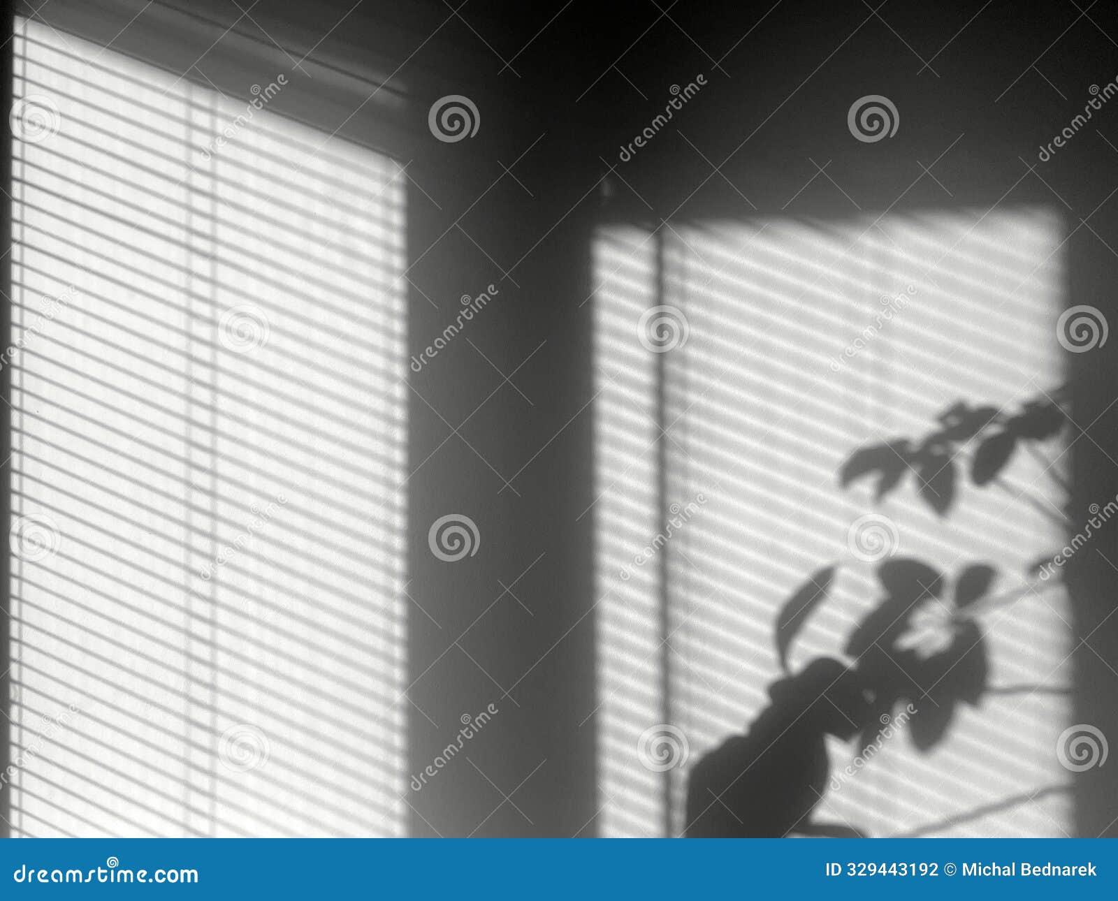 Window Blinds Shadow on Wall. Gobo Light Stock Photo - Image of ...