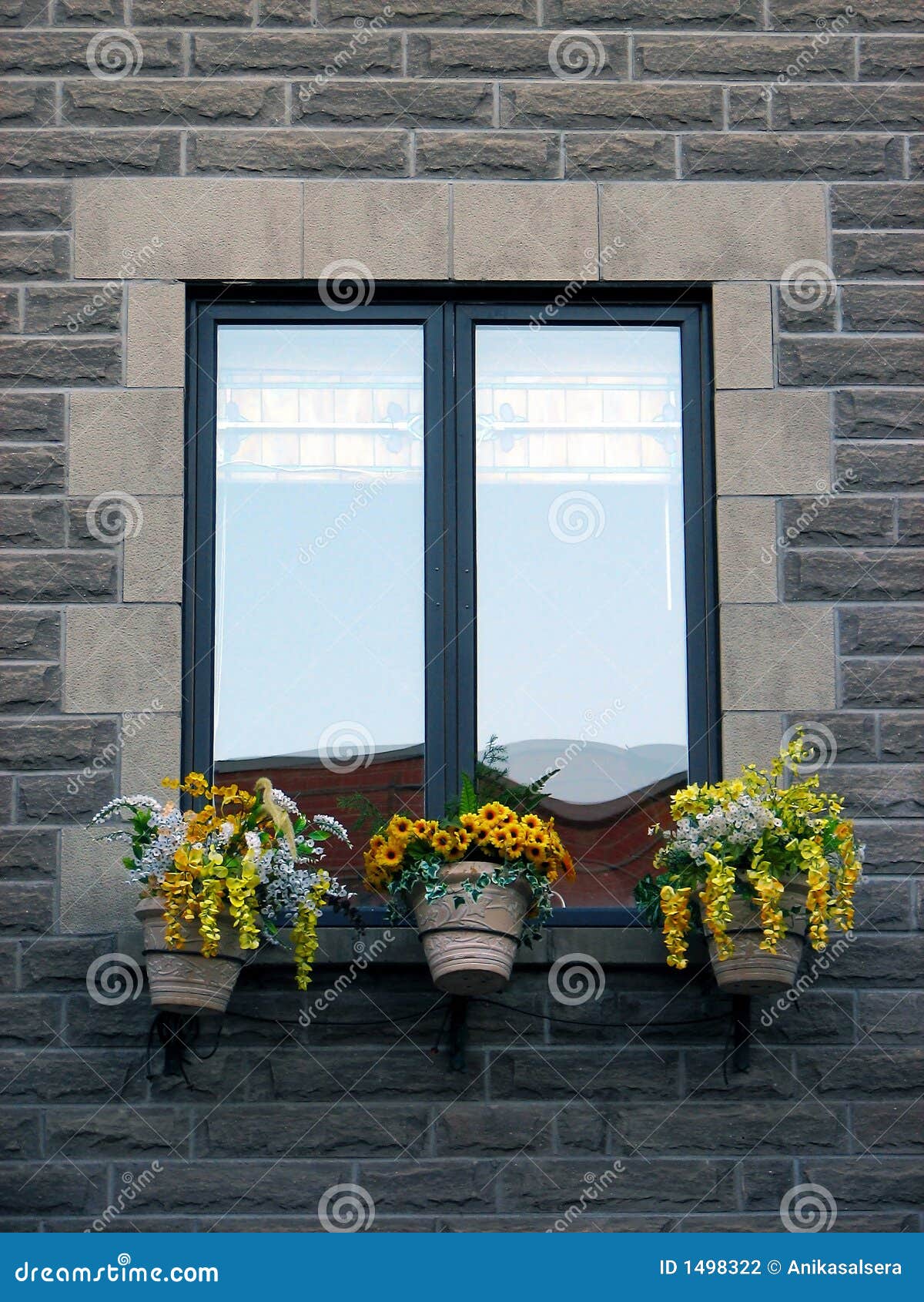 Window with Blooming Yellow Flowers Stock Photo - Image of ownership ...
