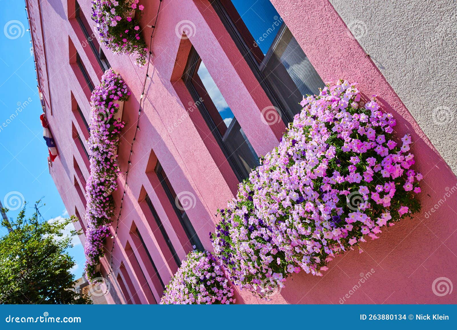 Window Box Flowers in Summer Cover Pink Wall Stock Photo - Image of ...