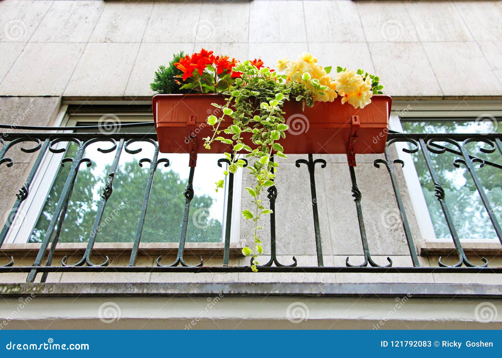Window Box Planter with Red and Yellow Flowers. Stock Image - Image of ...