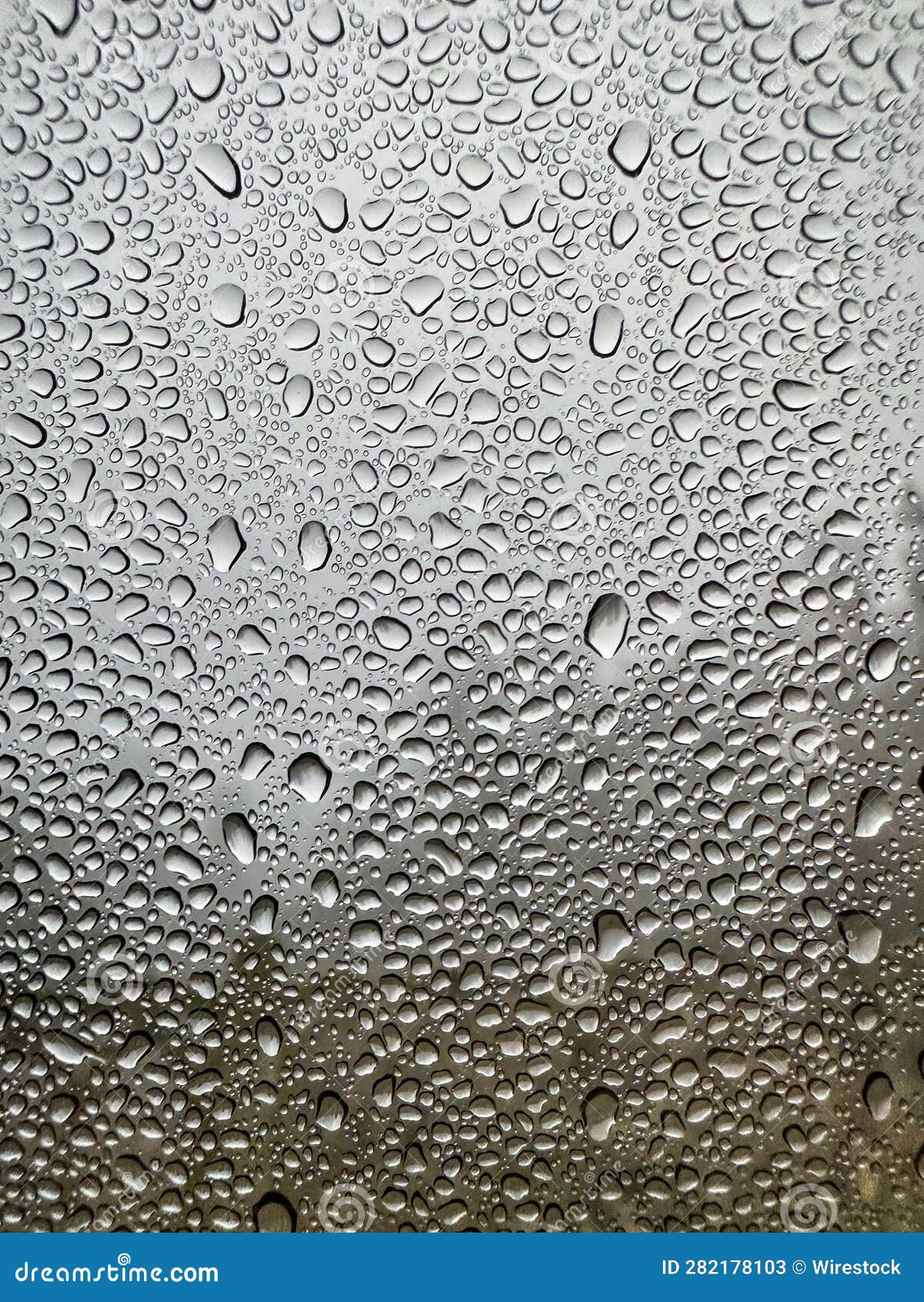 Window with Condensation Droplets on the Inside, Creating an Abstract ...