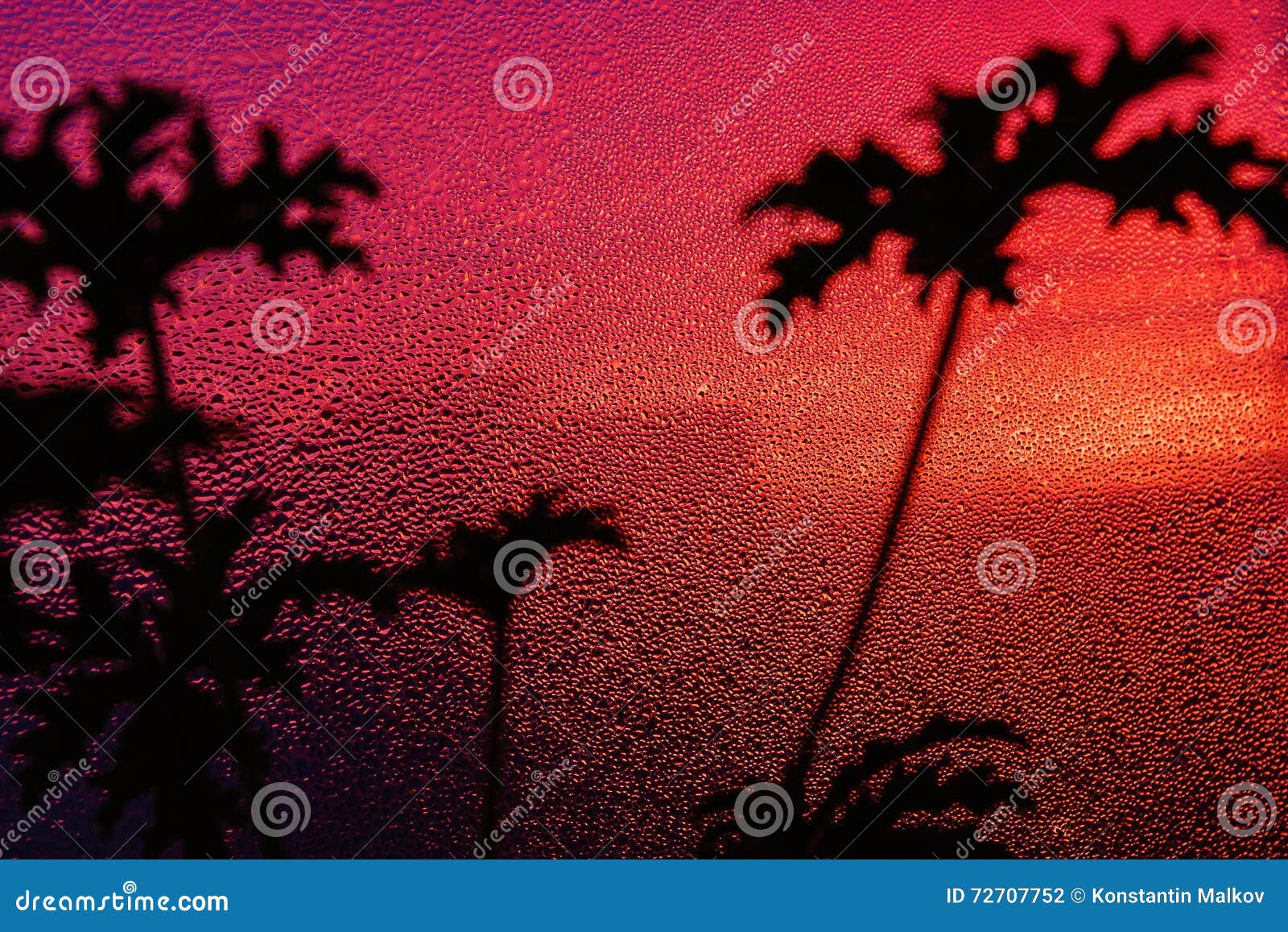 Window Covered with Rain Drops on Dull Autumn Day View of Palm Tree ...
