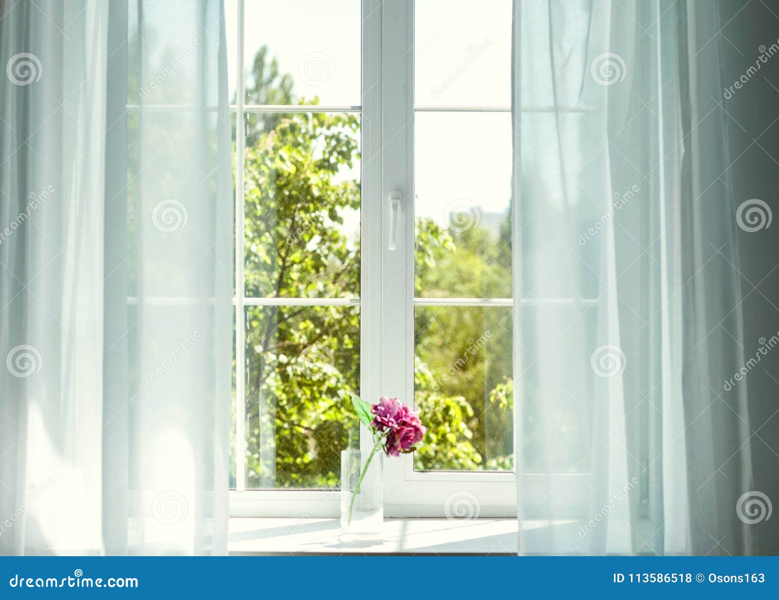 Window with Curtains and Flowers Stock Photo - Image of light, green ...