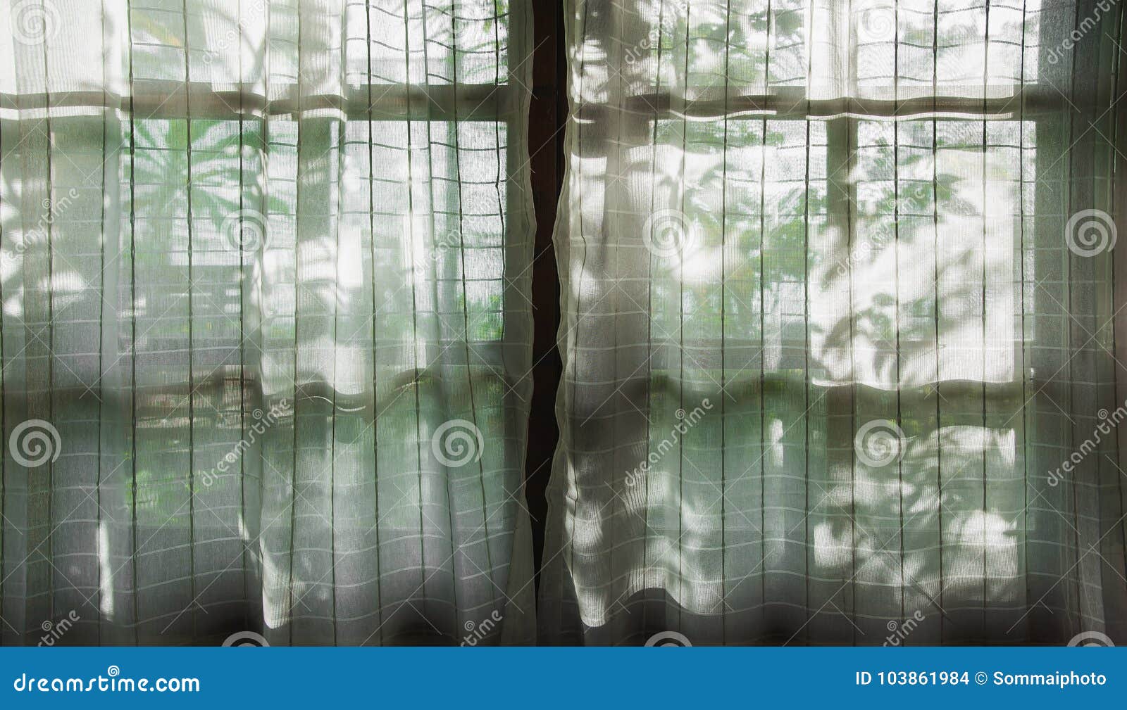Window Curtains and Shadow in Natural Light Stock Photo - Image of cafe ...
