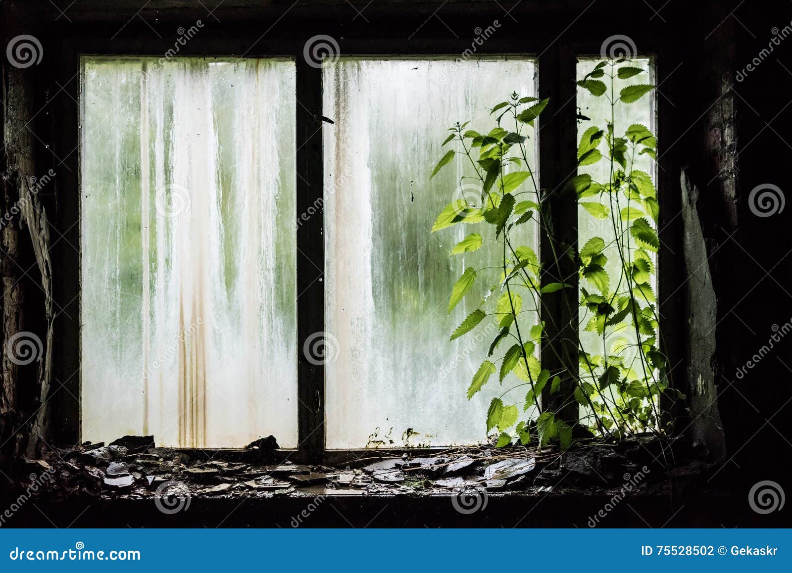 Window with Debris in Abandoned School in Pripyat Stock Photo - Image ...