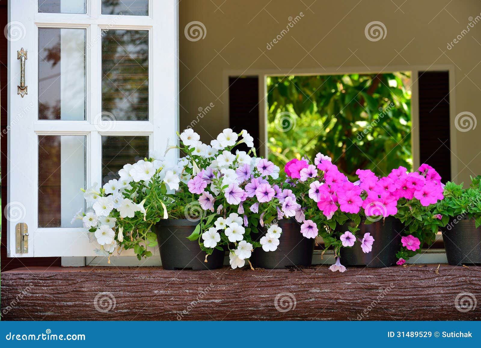 Window Decorated with Fresh Flowers Stock Image - Image of decoration ...