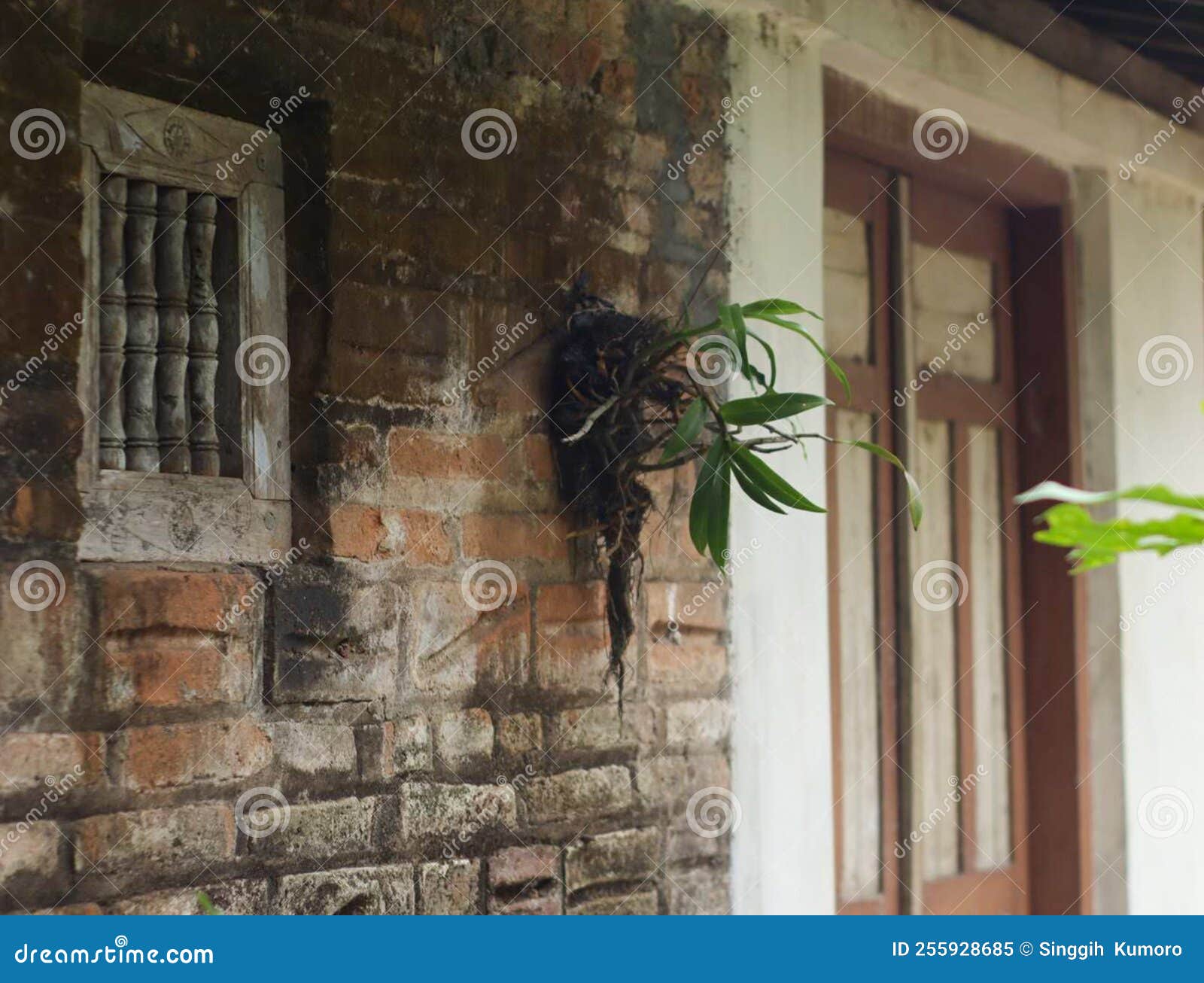 Window and door background stock image. Image of clean - 255928685