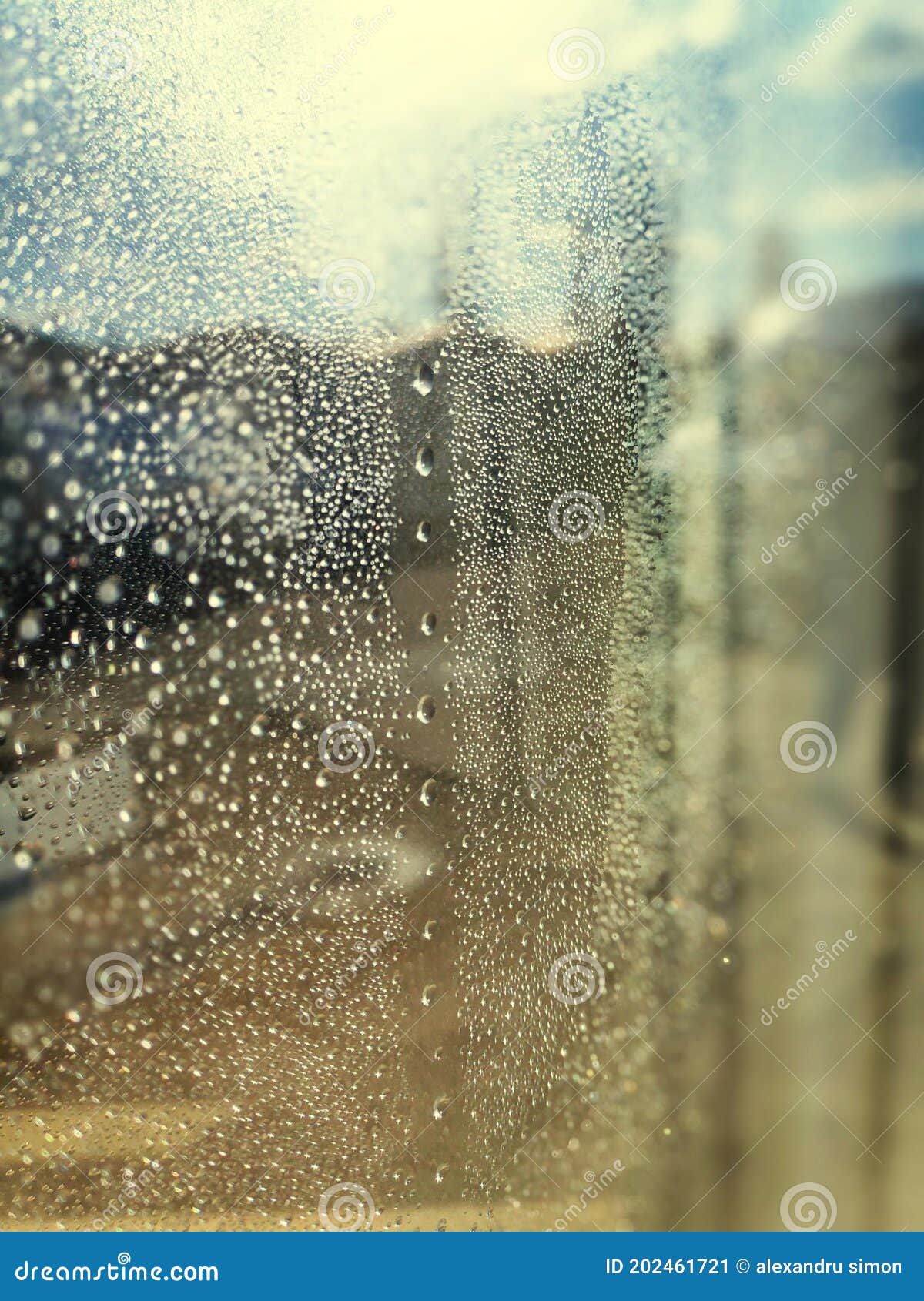 Window drop stock image. Image of leaf, rain, drop, snow - 202461721