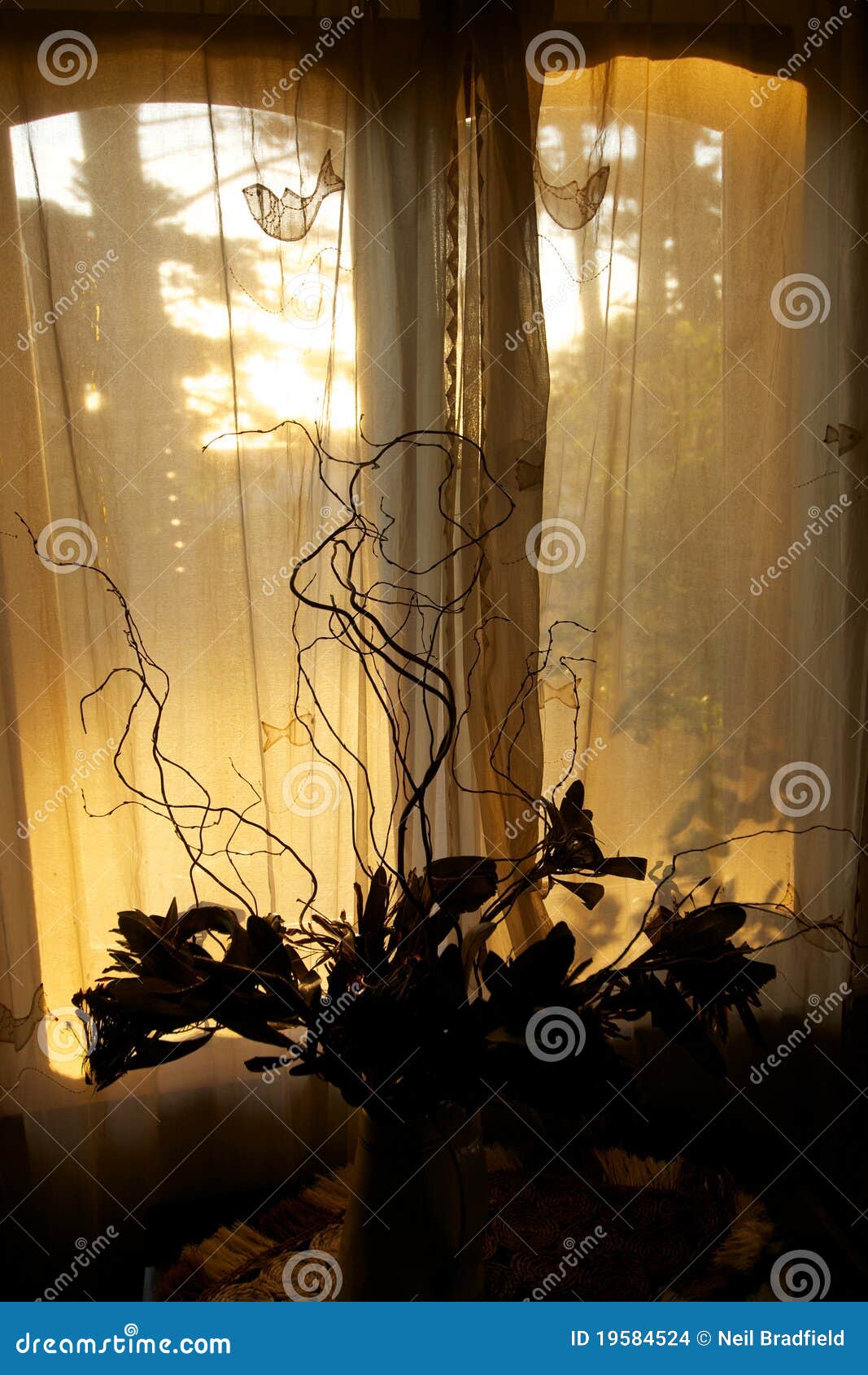 Window at Dusk stock photo. Image of window, serene, home - 19584524