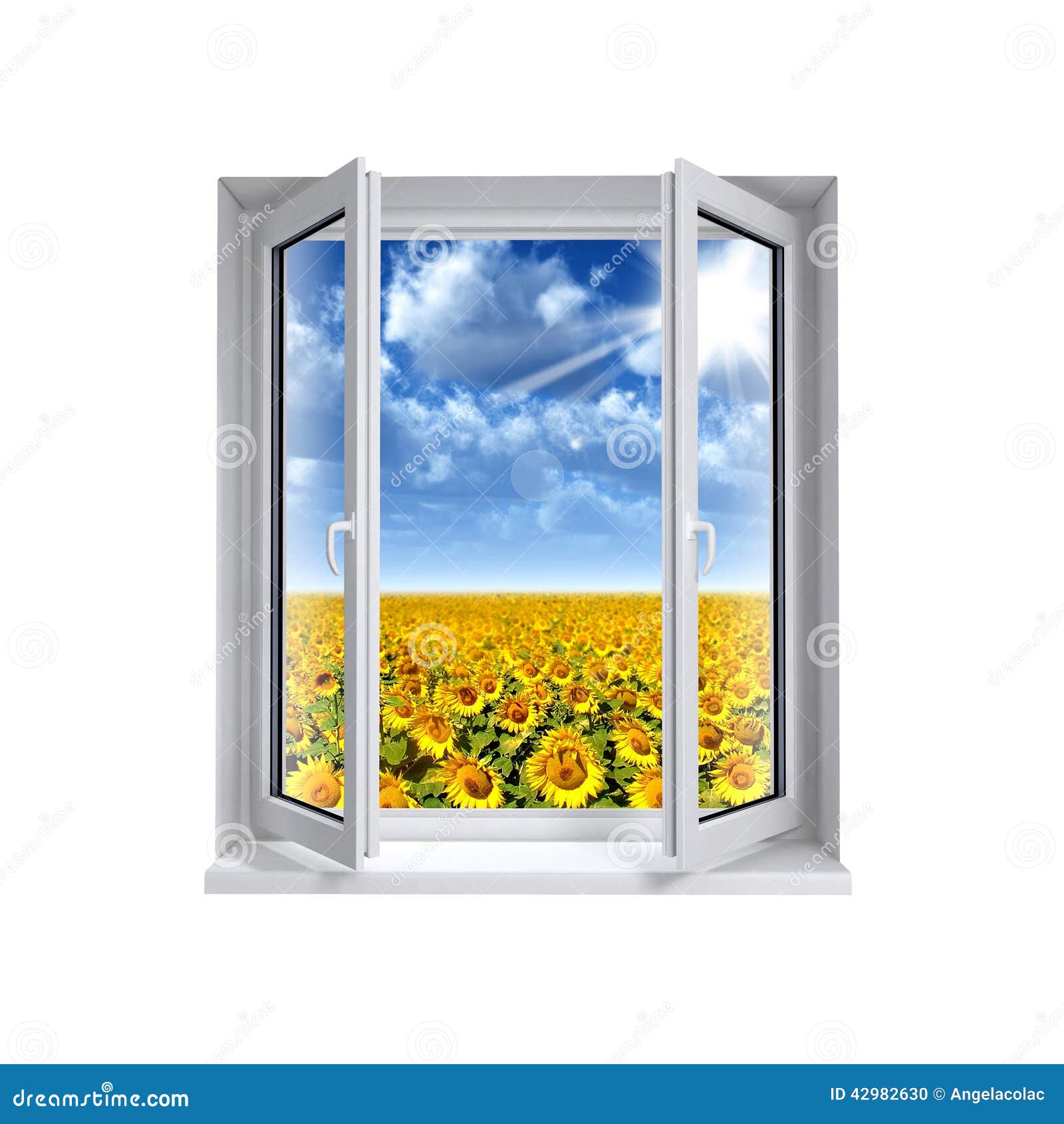 Window in the Field of Sunflowers Stock Photo - Image of nature ...