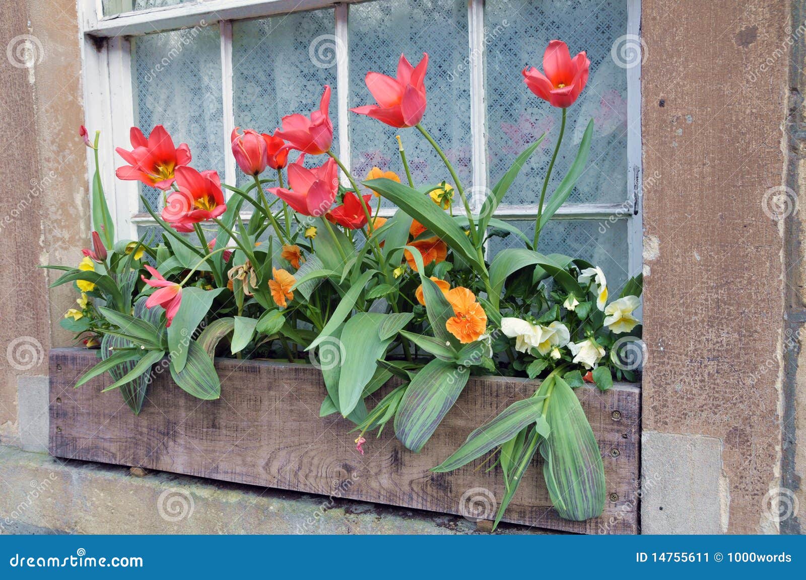 Window Flower Box stock image. Image of beacon, exterior - 14755611