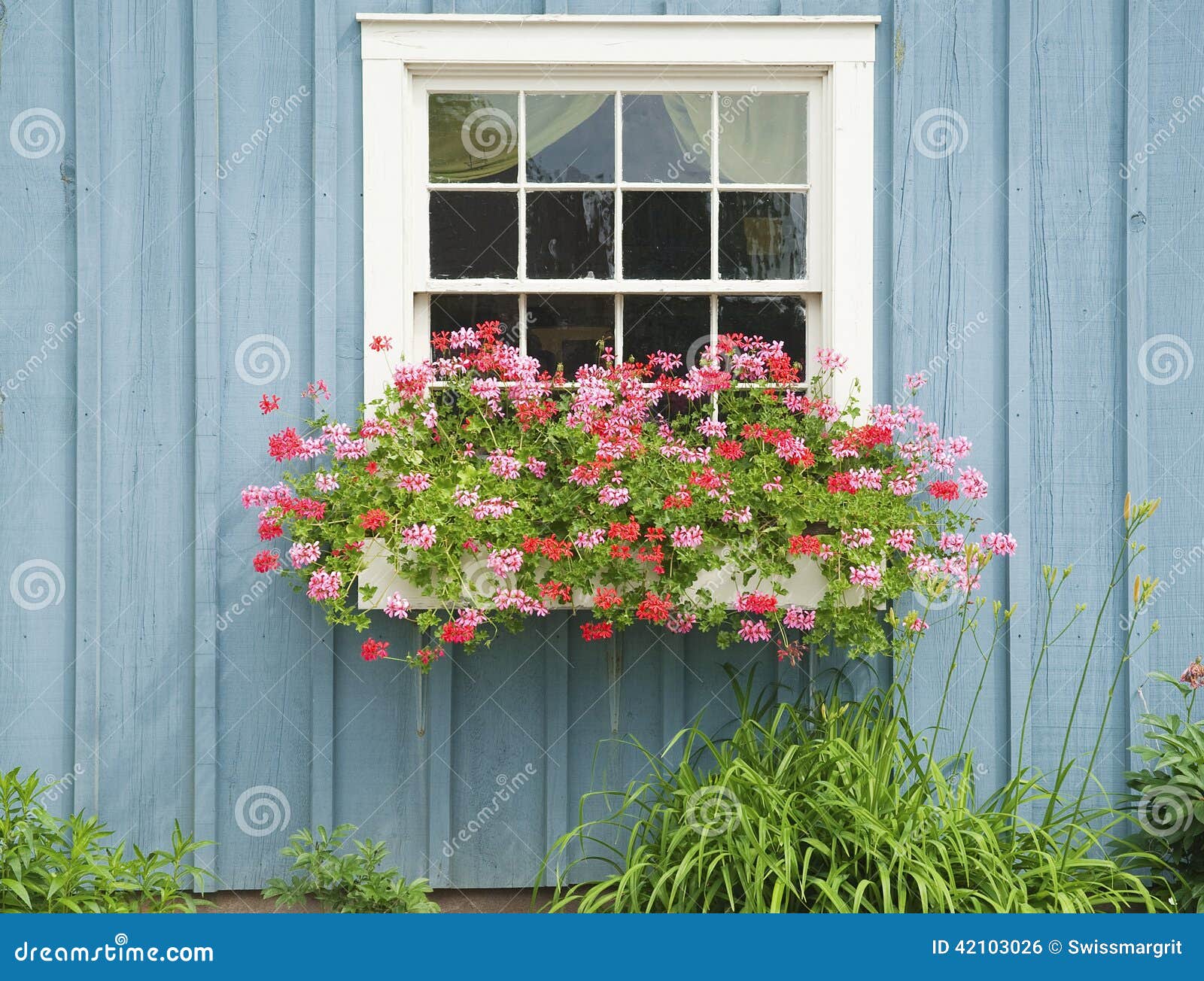 Window flower box stock photo. Image of plant, flower - 42103026