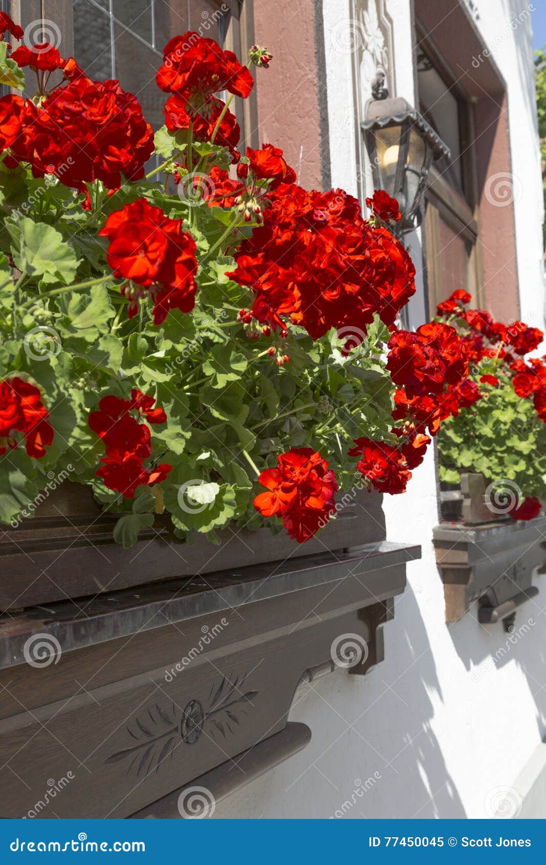 Window Flower Box stock image. Image of geranium, architecture - 77450045
