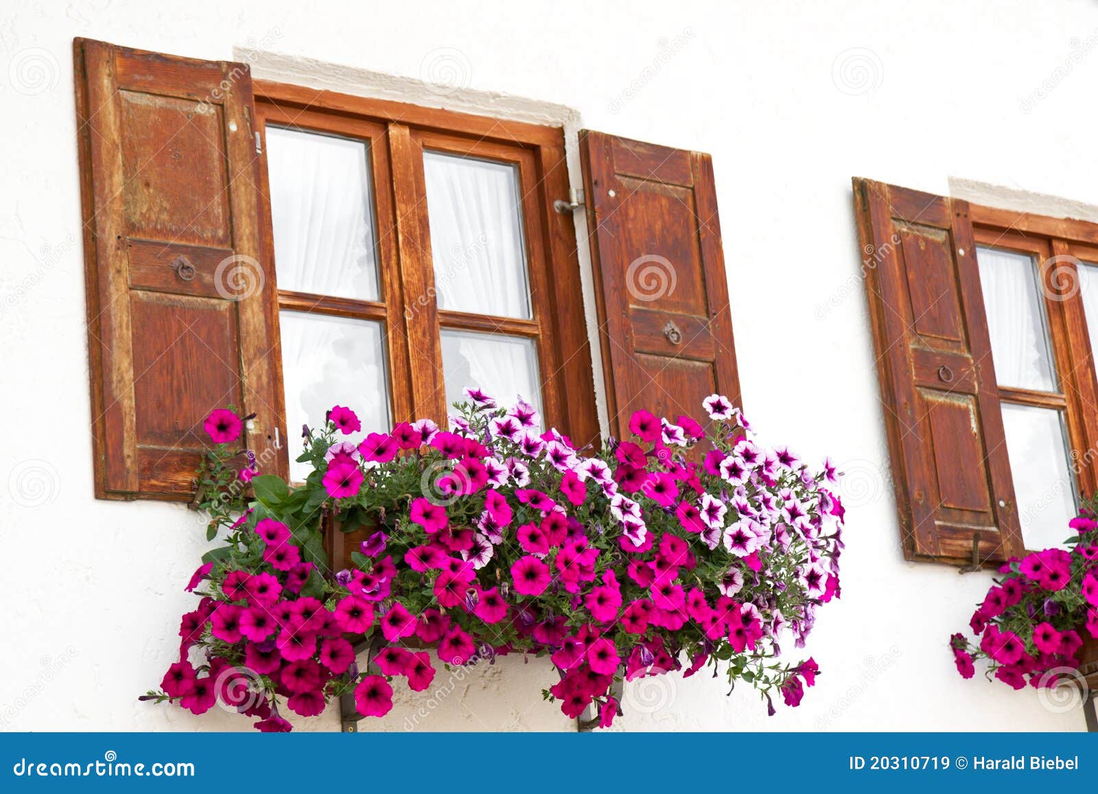 Window with Flower Decoration Stock Image - Image of tradition, wall ...
