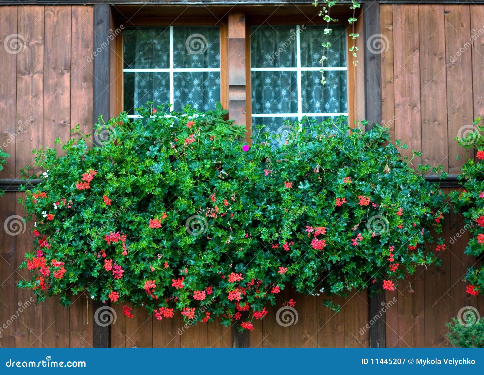 Window with flowers stock image. Image of traditional - 11445207