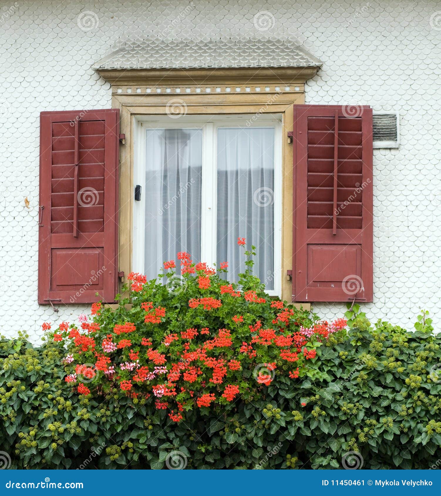 Window and flowers stock image. Image of decoration, blinds - 11450461
