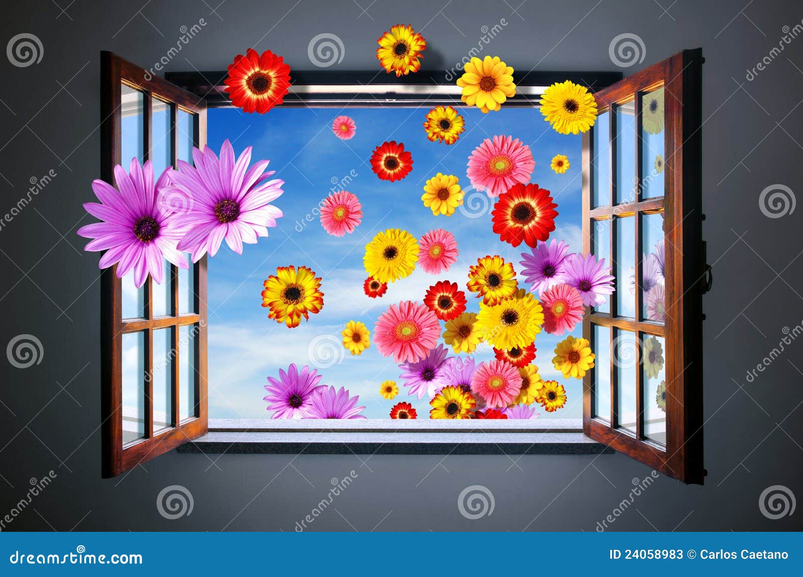 Window of Flowers stock image. Image of pink, light, growth - 24058983