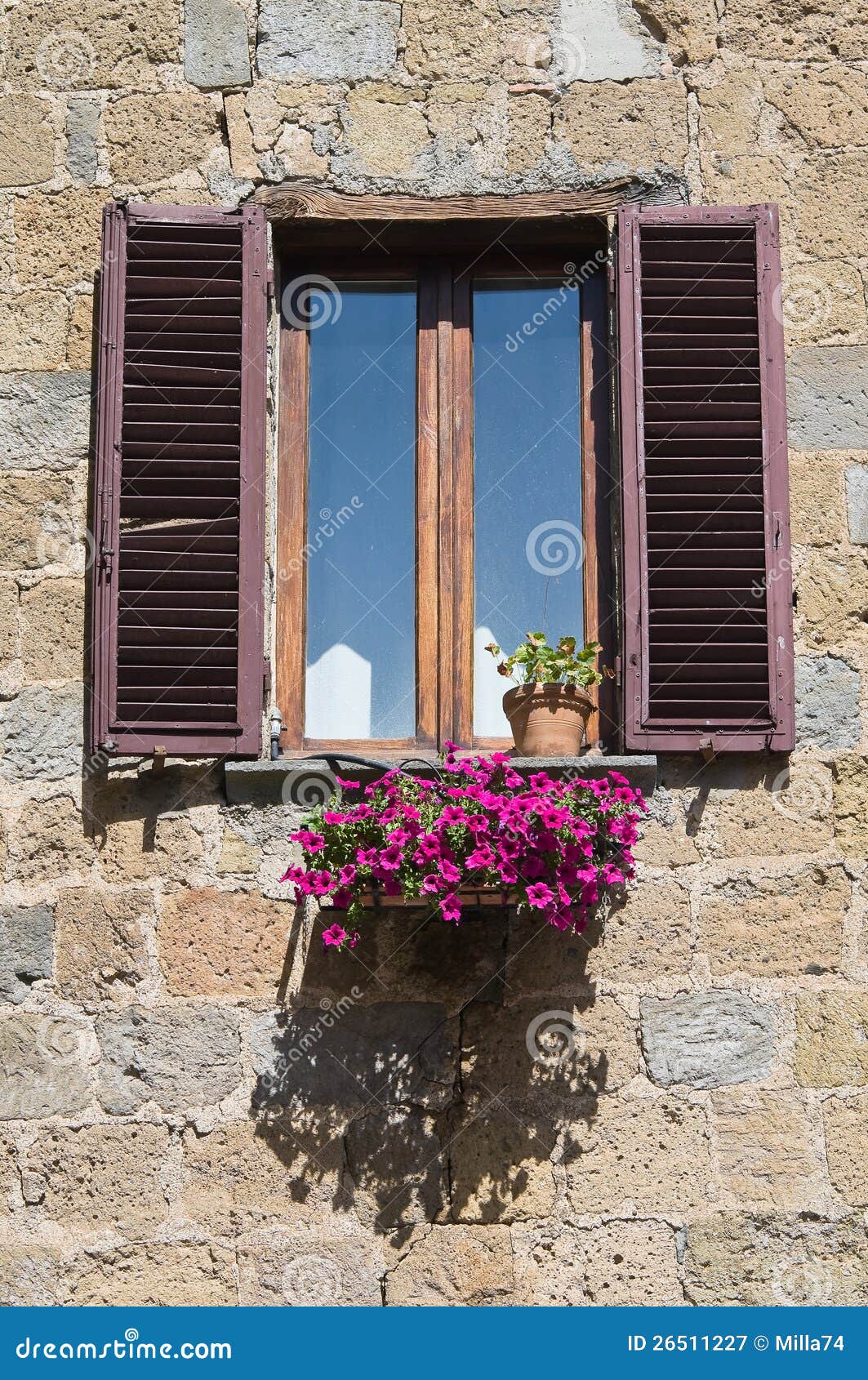 Window with flowers. stock image. Image of flower, object - 26511227