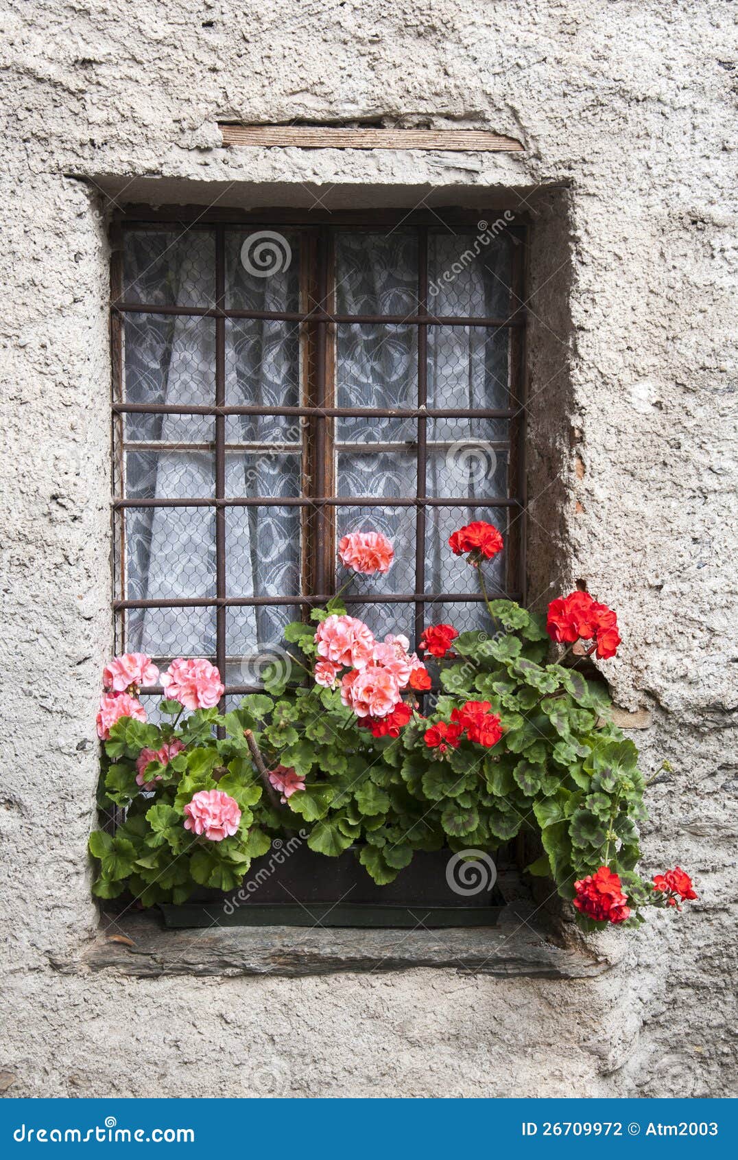 Window with flowers stock photo. Image of background - 26709972