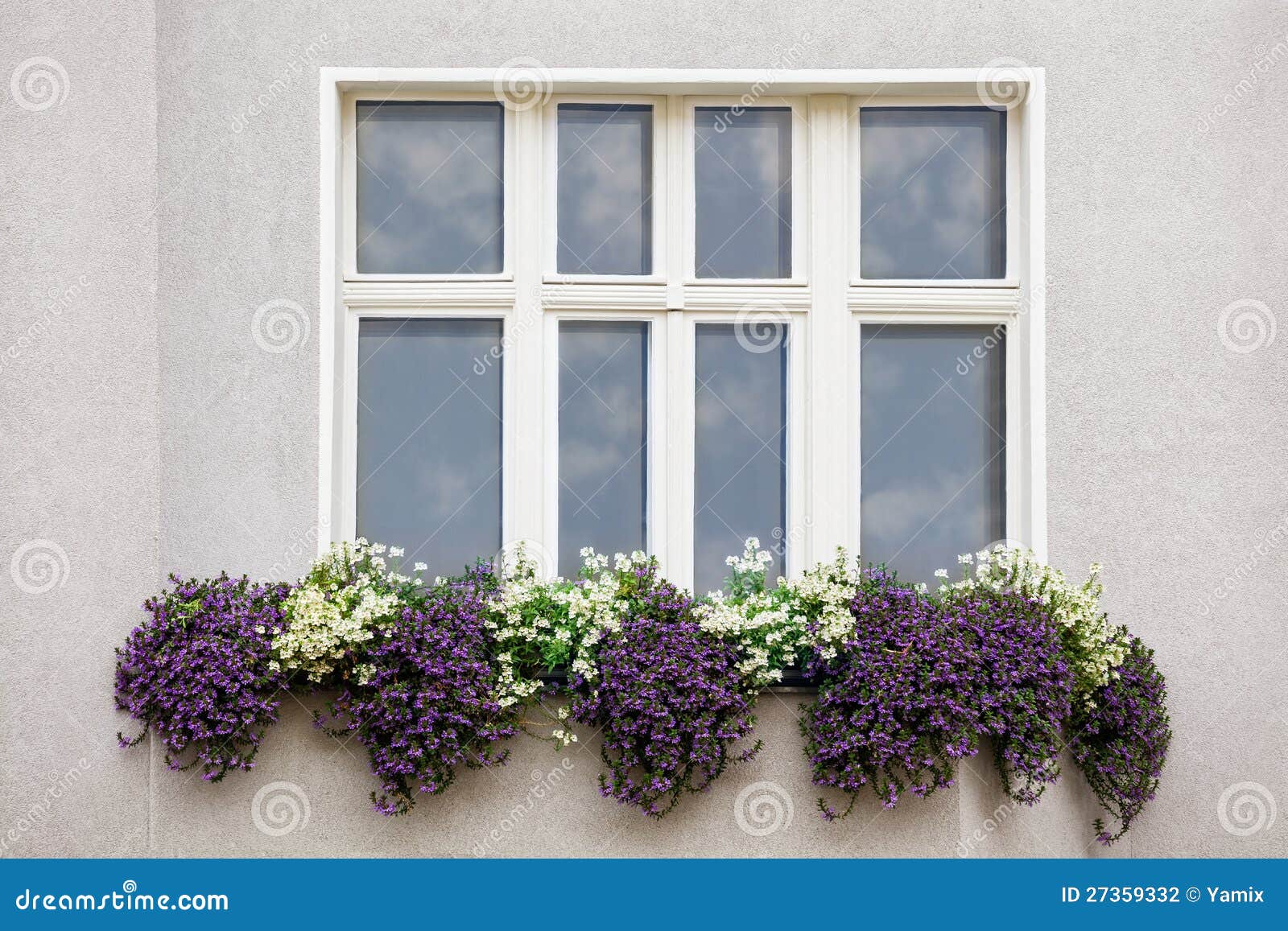 Window with flowers stock photo. Image of flower, plant - 27359332