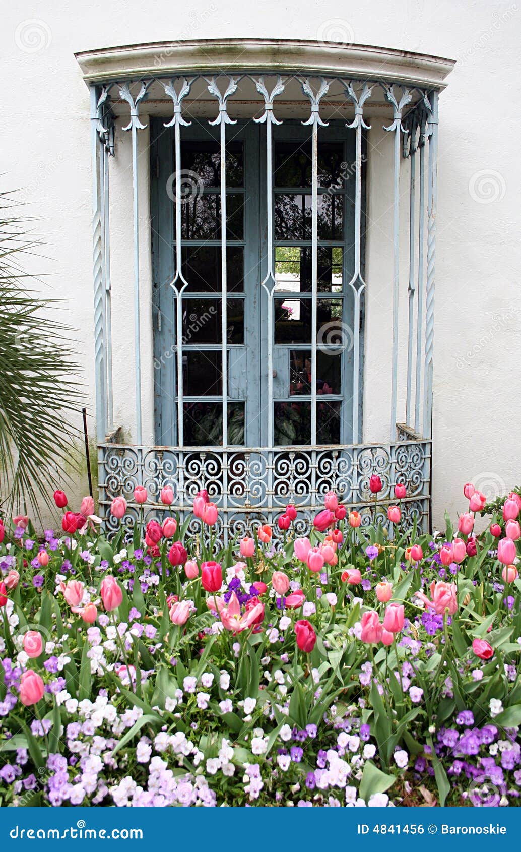 Window with Flowers stock photo. Image of color, pretty - 4841456
