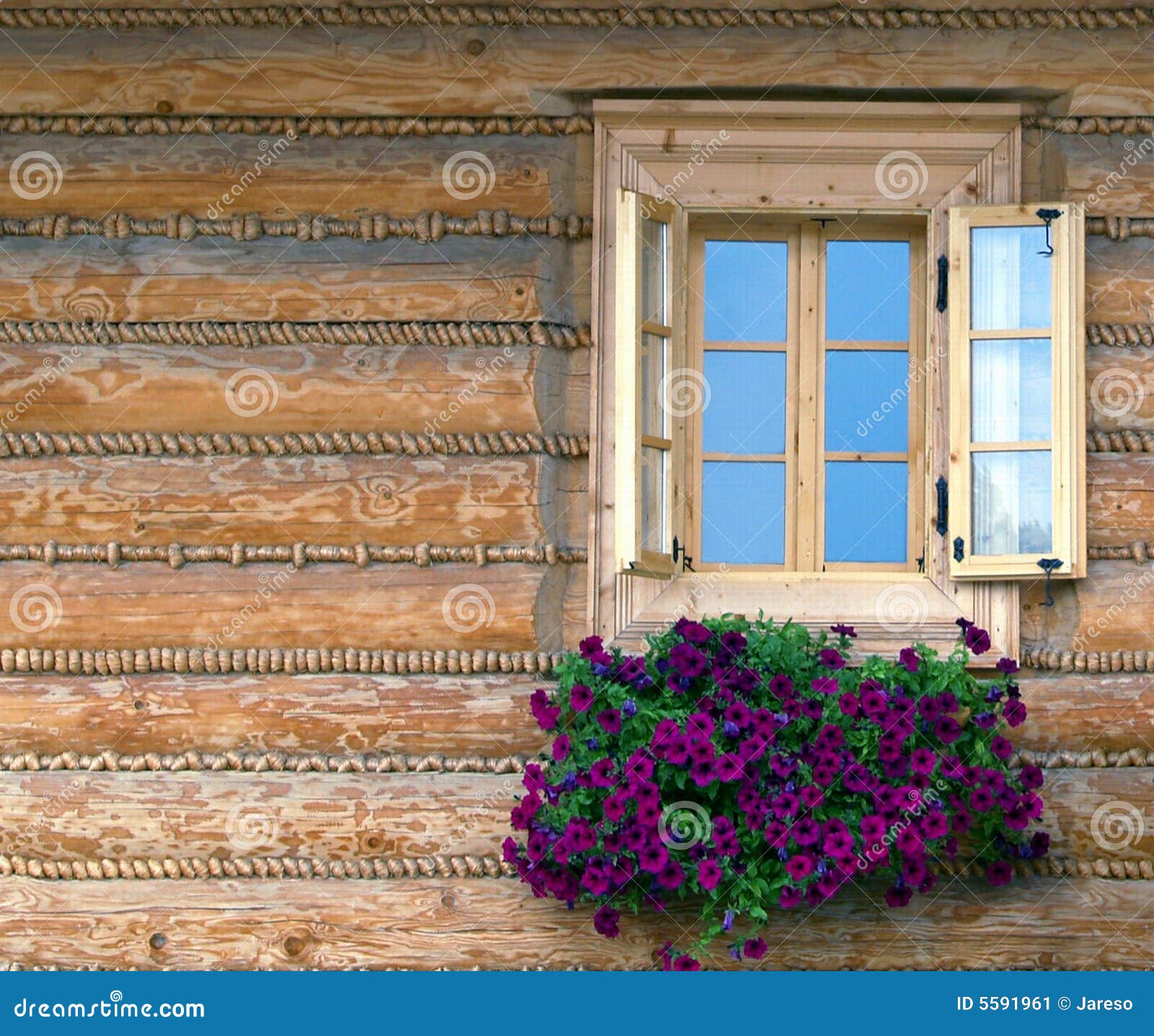 Window & Flowers stock image. Image of opened, brown - 5591961