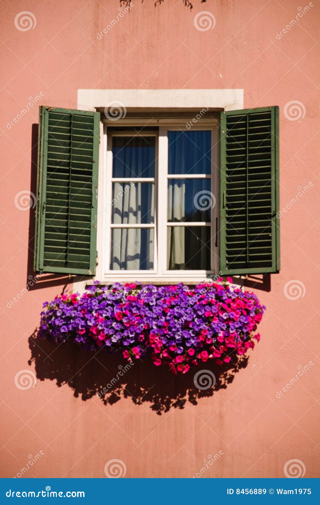 Window and flowers stock image. Image of home, colorful - 8456889