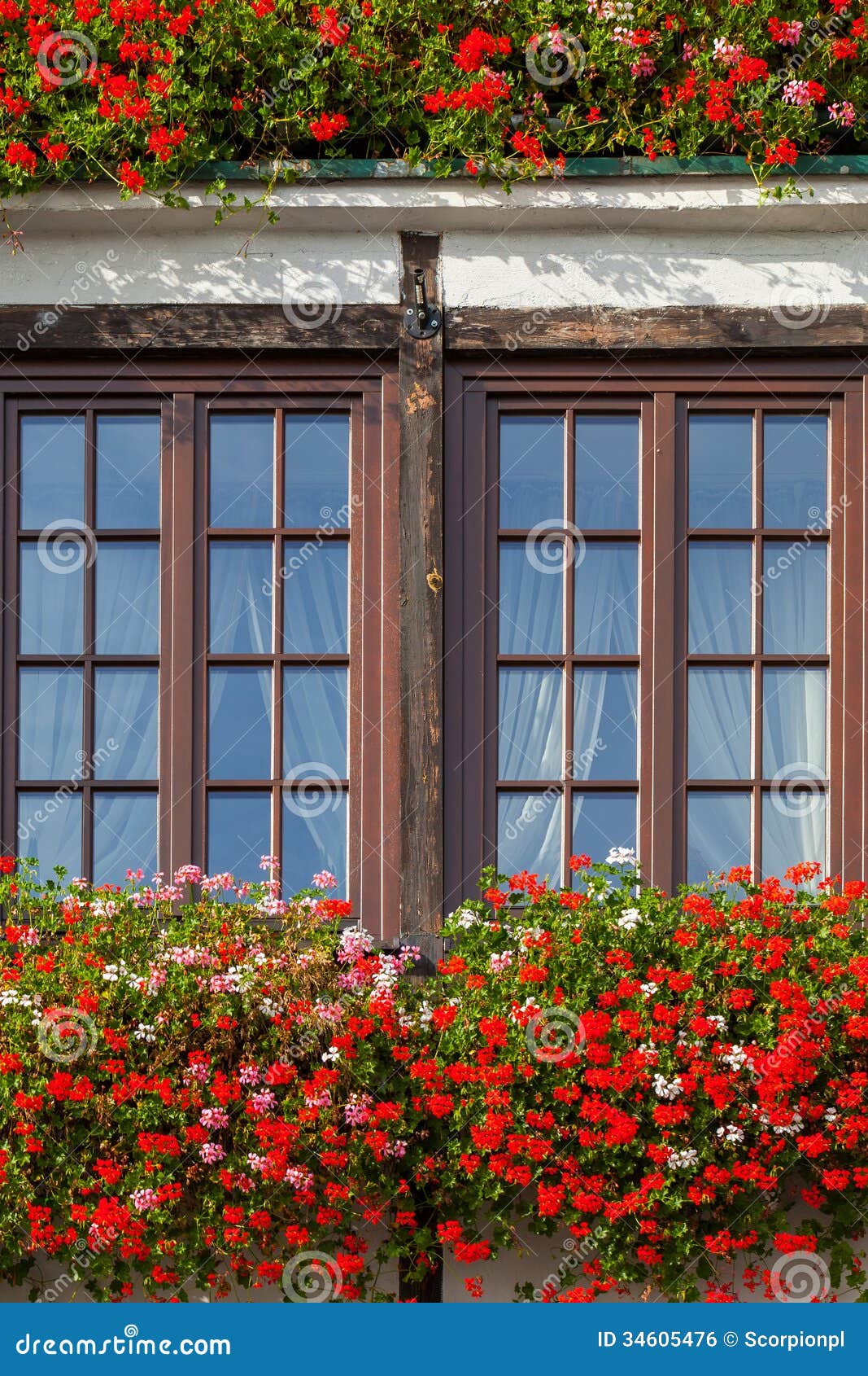 Window in flowers stock photo. Image of floral, beauty - 34605476