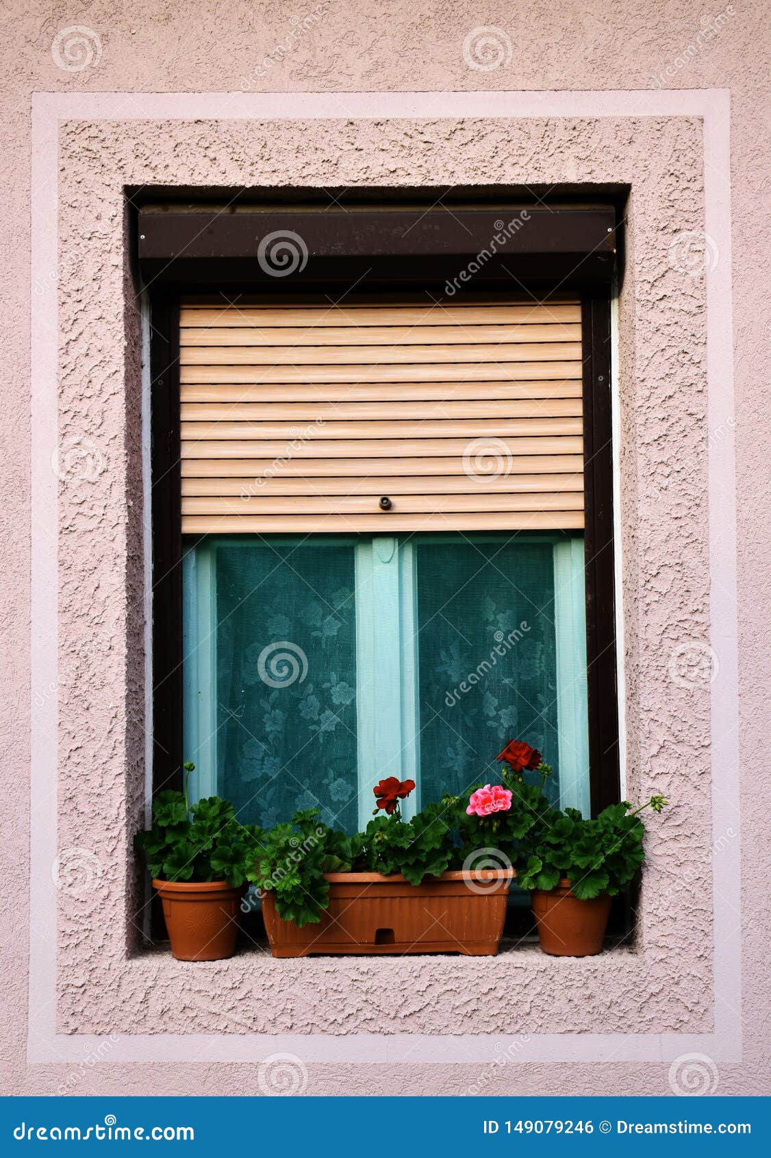 Window with Flowers in the Jars Stock Photo - Image of color, barn ...
