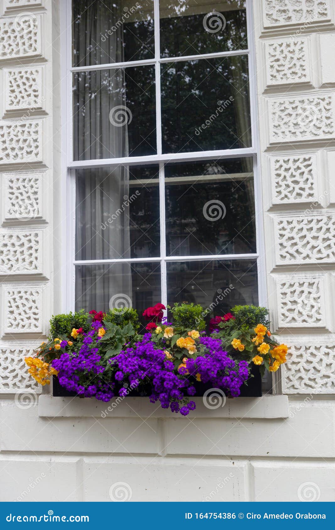Window with flowers stock photo. Image of building, exterior - 164754386