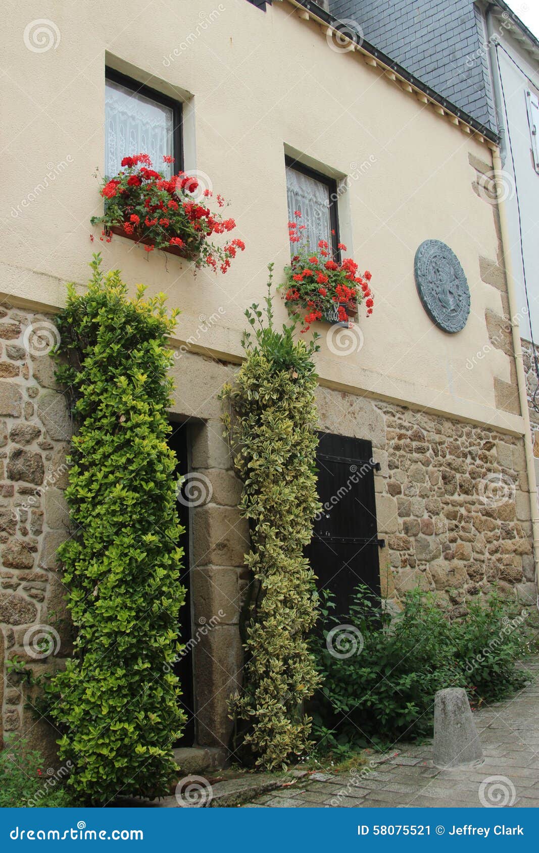 Window with flowers stock image. Image of green, abstraction - 58075521