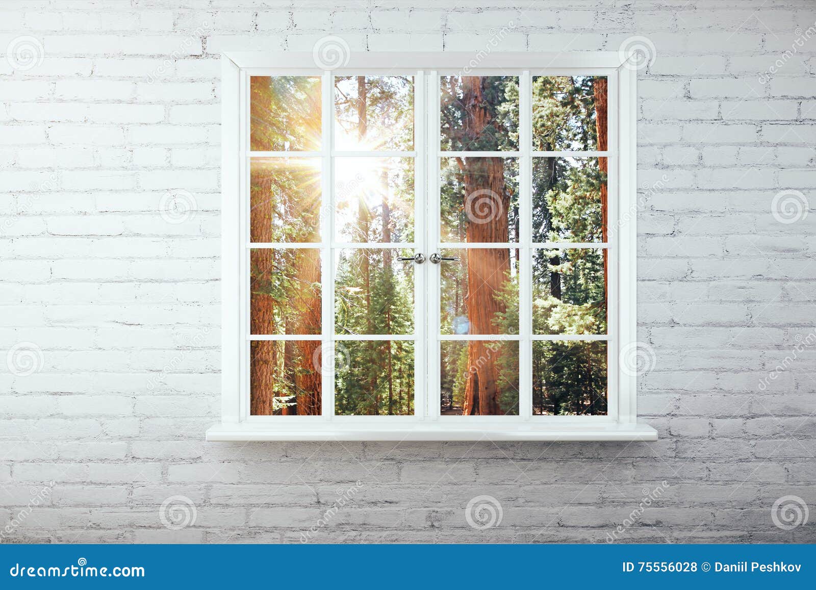 Window with forest view stock illustration. Illustration of indoors ...