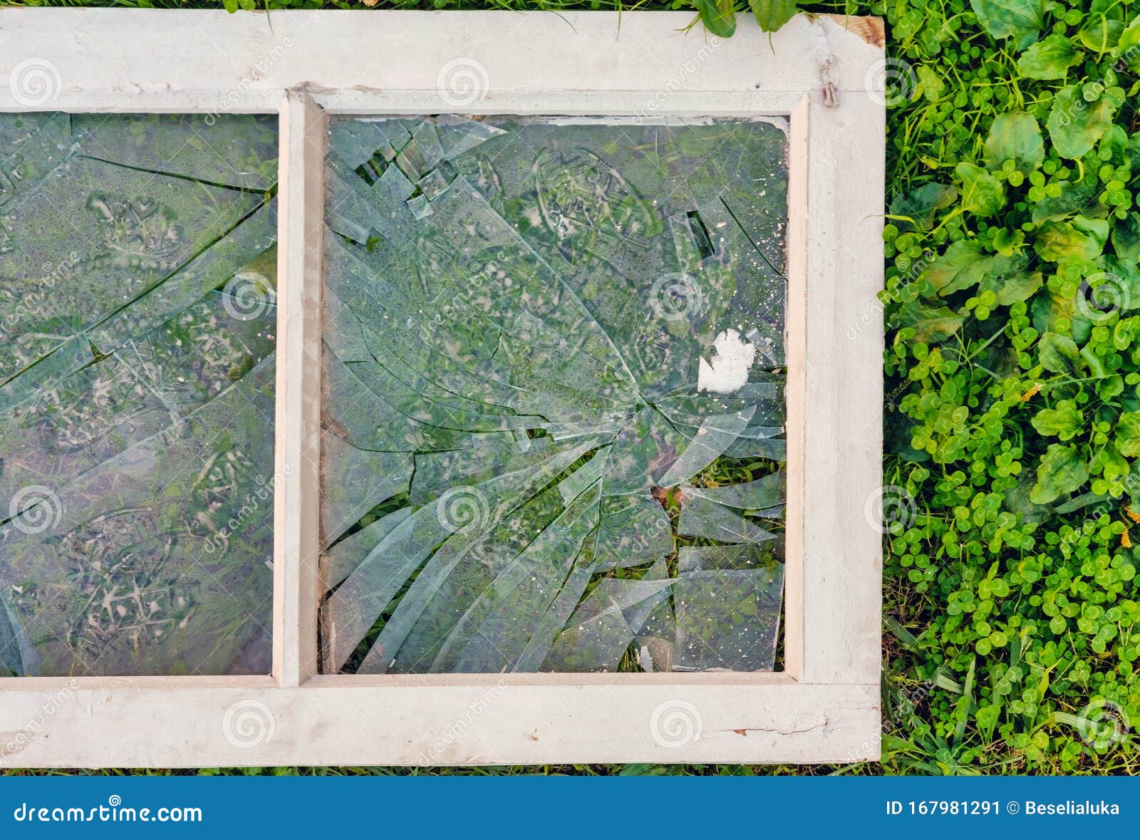 Window Frame with Cracked Glass Lying on the Grass Stock Image - Image ...