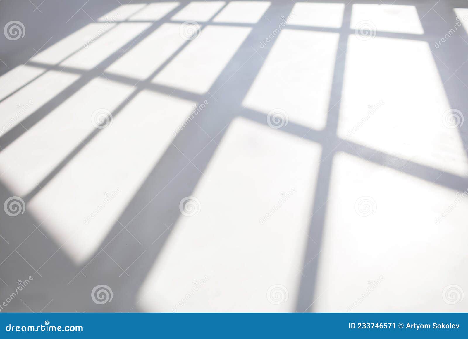 Window Frames Shadow on White Floor in Empty Room Stock Image - Image ...