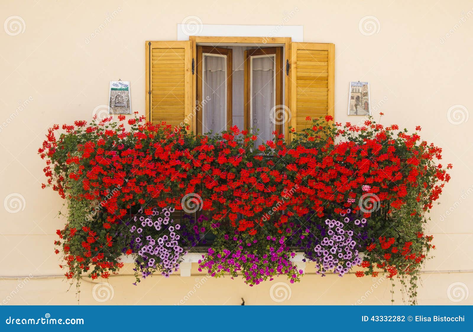 Window with fresh flowers. stock photo. Image of color - 43332282
