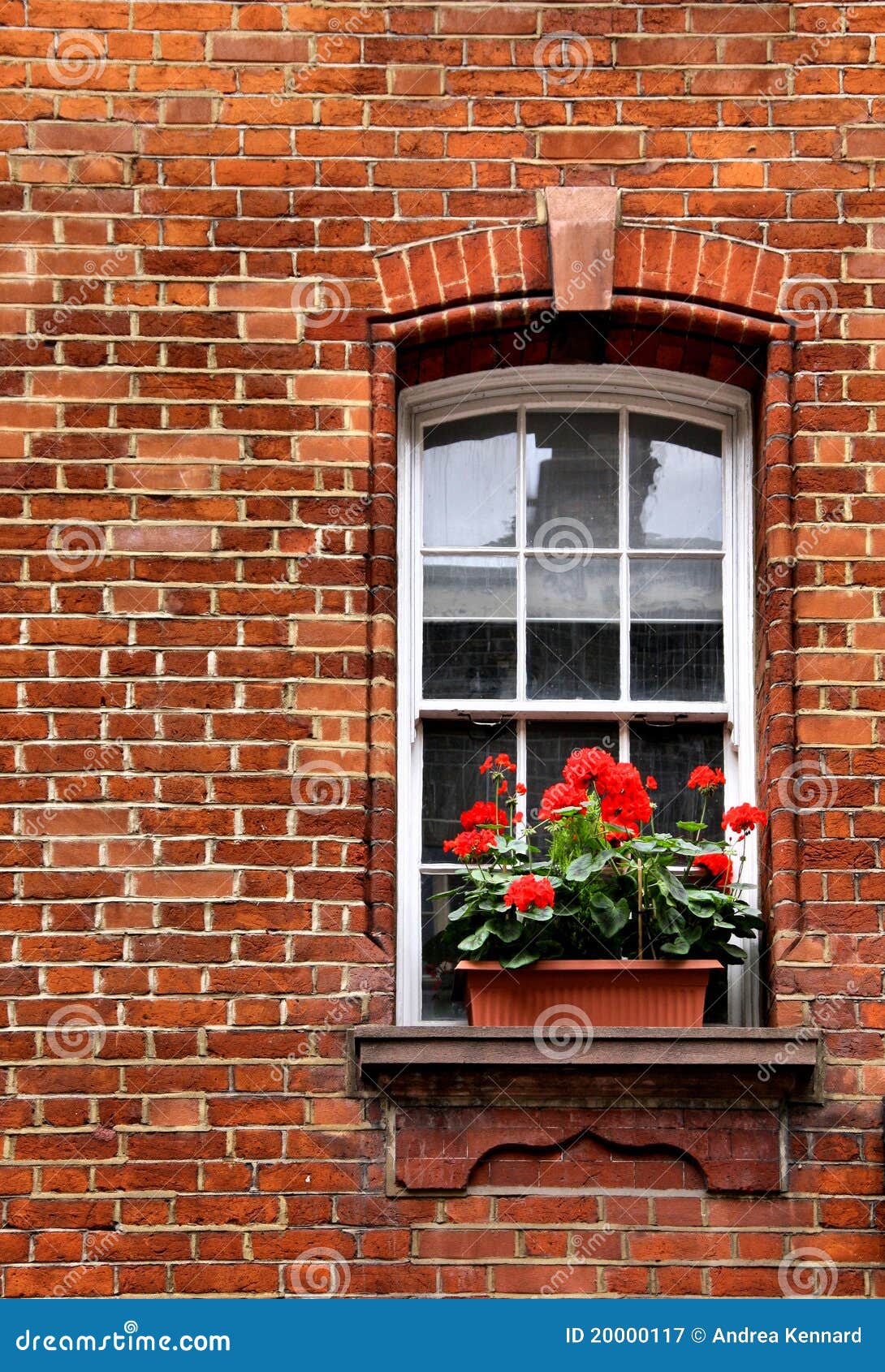 Window with geraniums stock image. Image of bricks, plant - 20000117