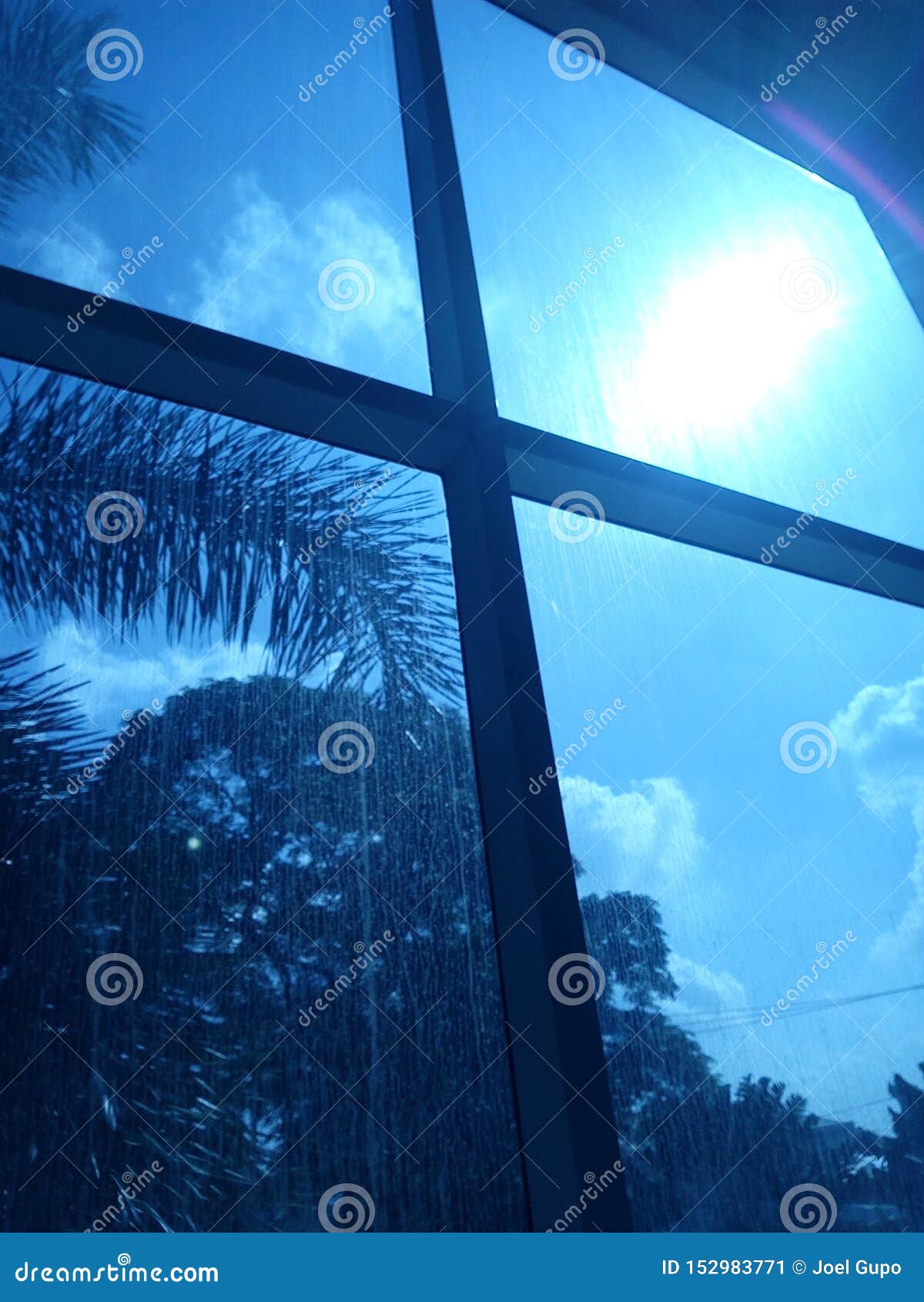 Window Glass with Tree and Sun View Outside Stock Image - Image of ...
