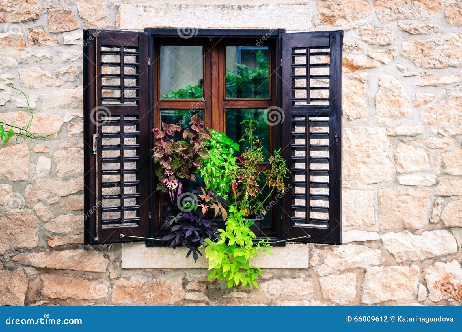 Window with green plants stock photo. Image of shelter - 66009612