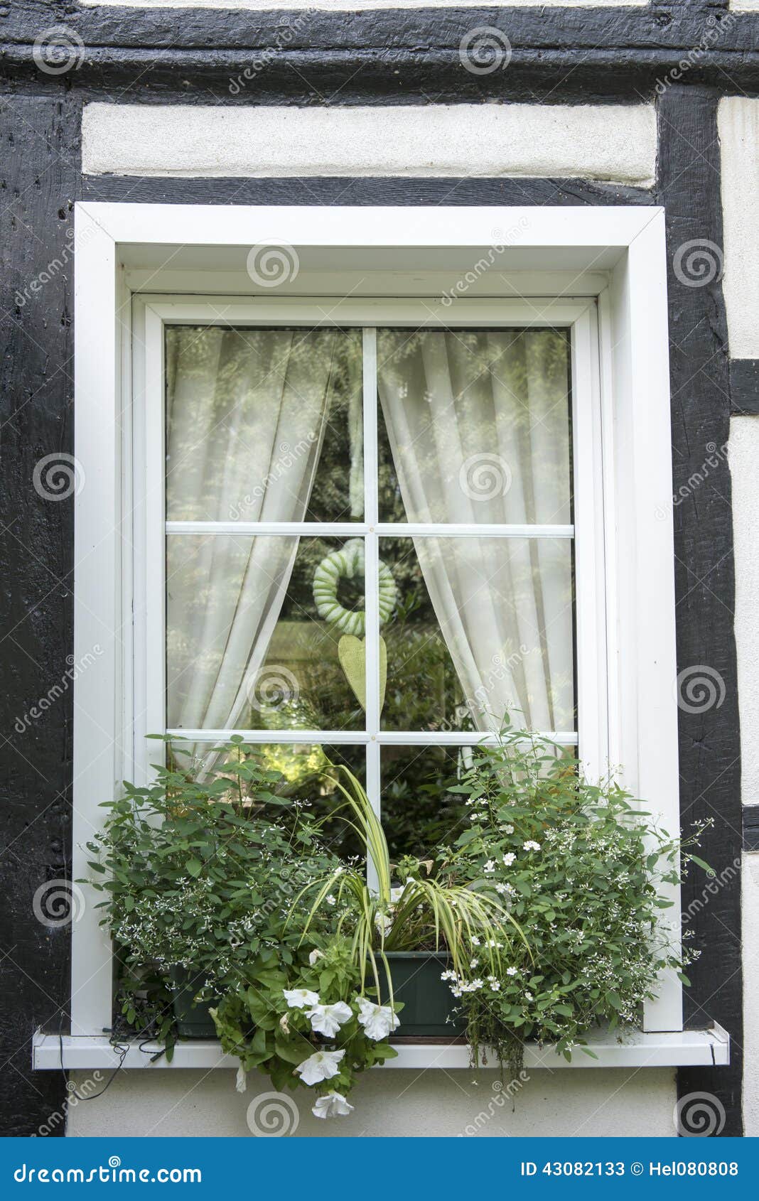Window of Half-timbered House with White Flowers Stock Image - Image of ...