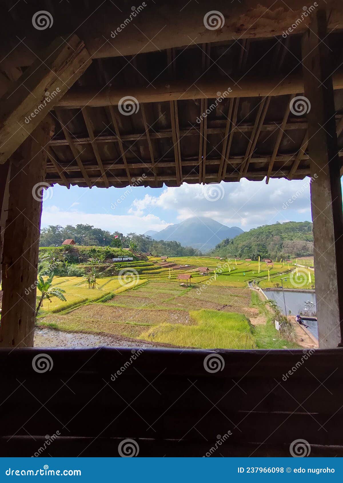 Window of haven stock photo. Image of plant, vacation - 237966098