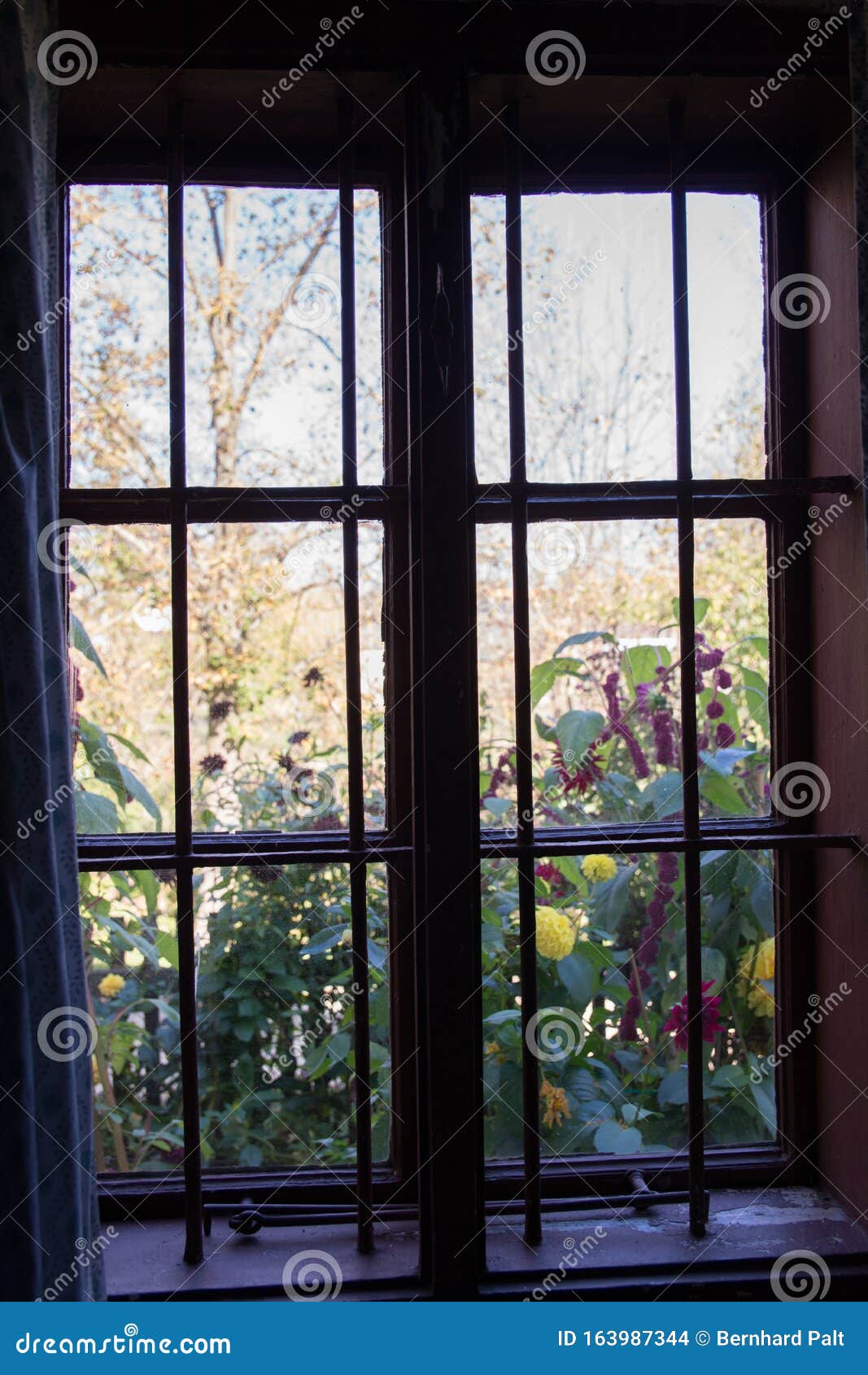 Window of a Historic House with a View of the Garden No. 2 Stock Photo ...