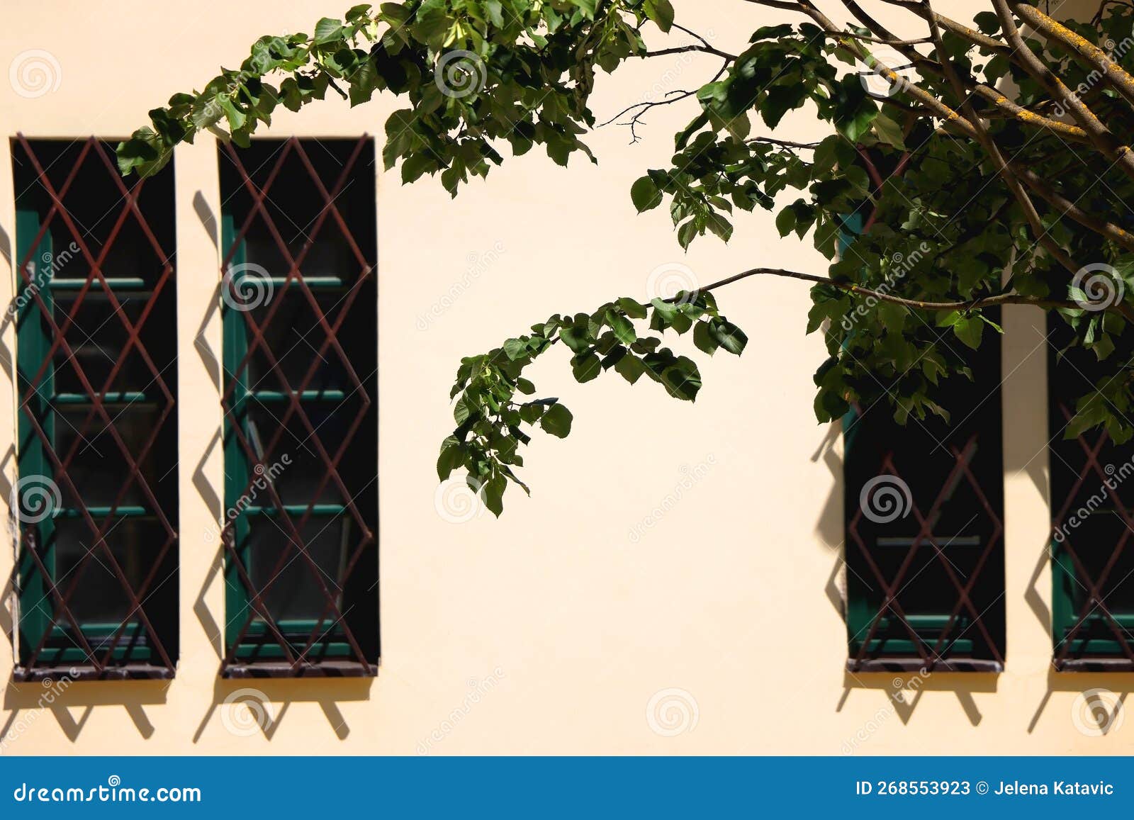 Window and Tree Branch stock image. Image of city, architectural ...
