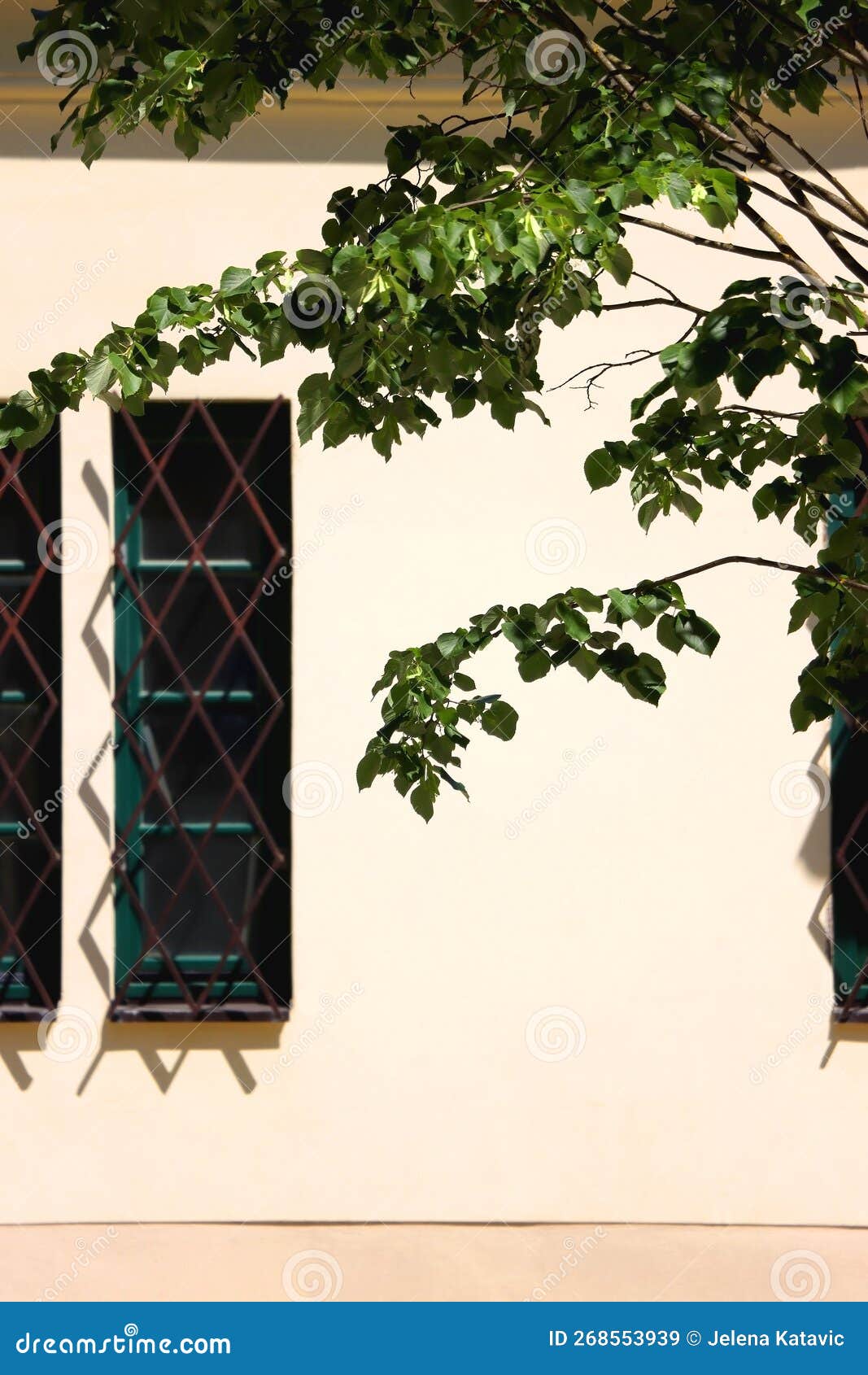 Window and Tree Branch stock image. Image of historic - 268553939