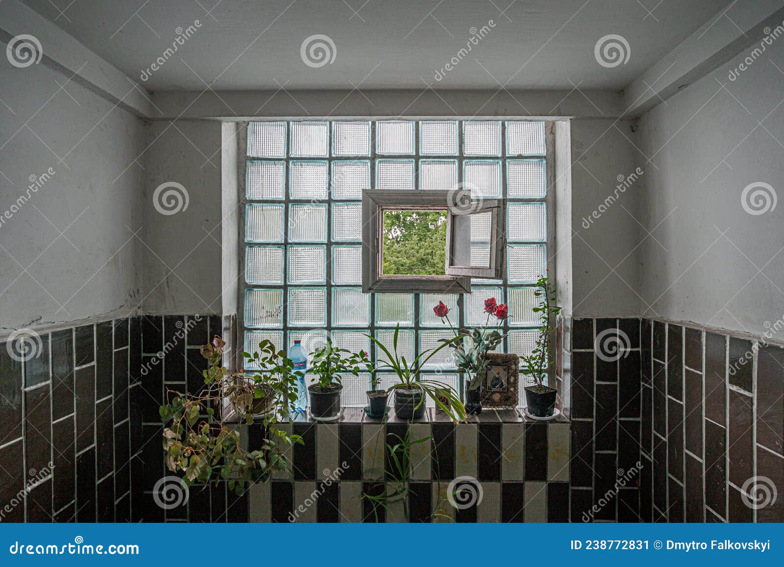 Window with Houseplants in Interior of a Dark Staircase Case of an Old ...