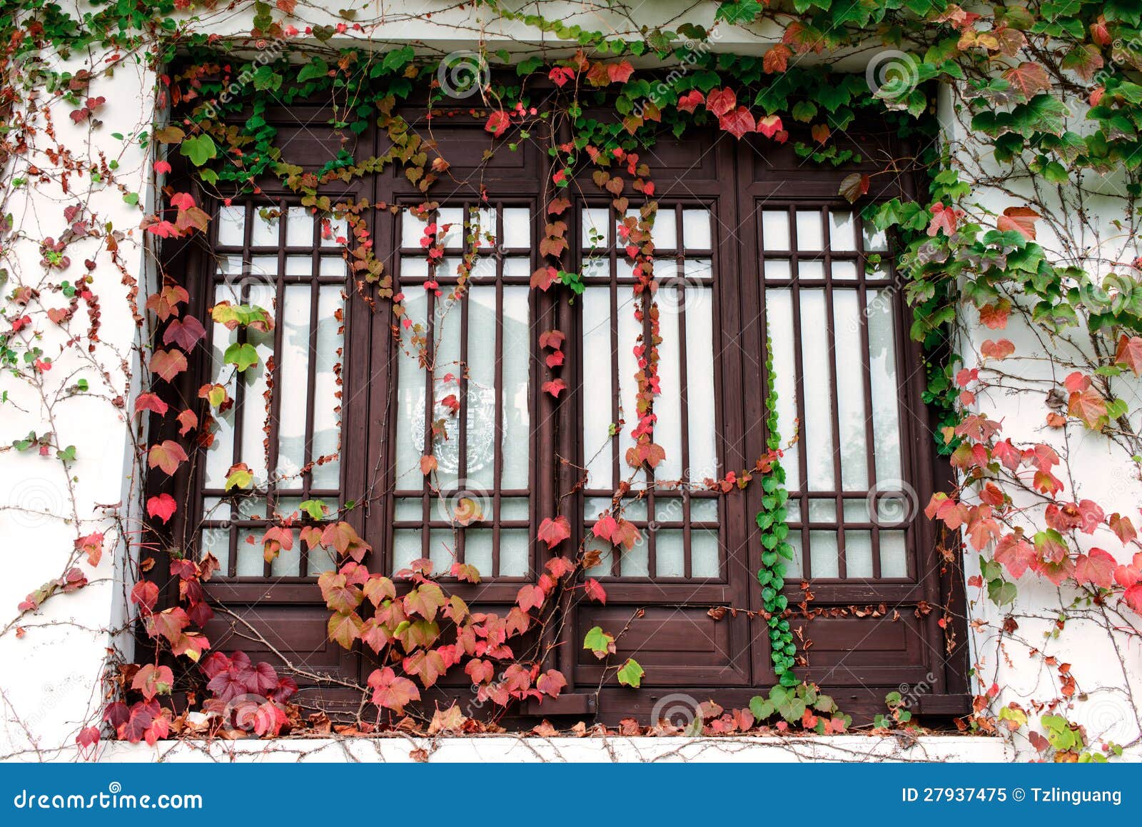 Window with leaves stock image. Image of color, culture - 27937475