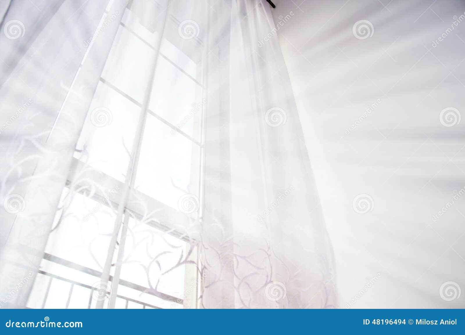 Window and light. stock photo. Image of scene, glass - 48196494