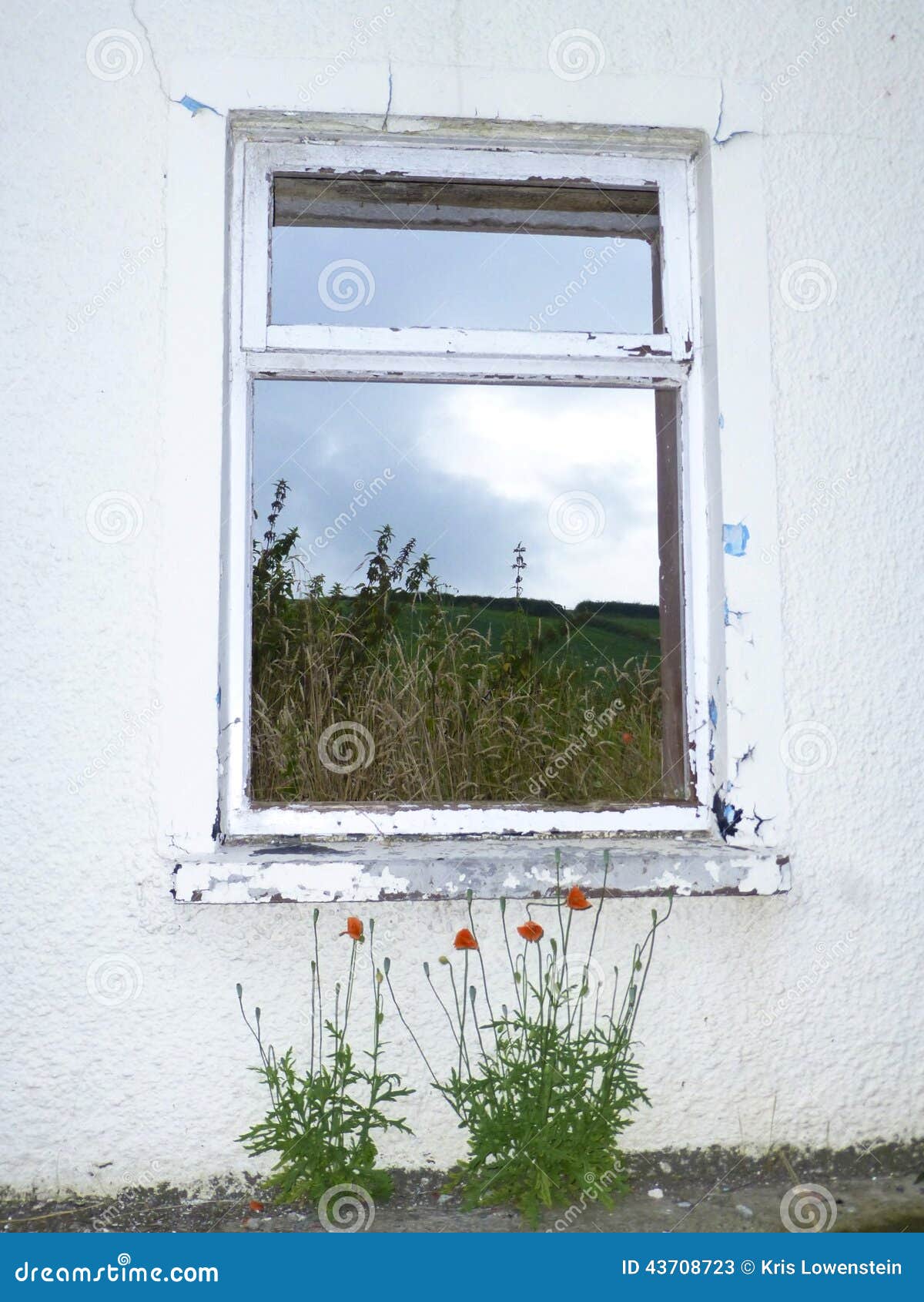 Window, Looking Out? or in? Stock Image - Image of walls, wall: 43708723