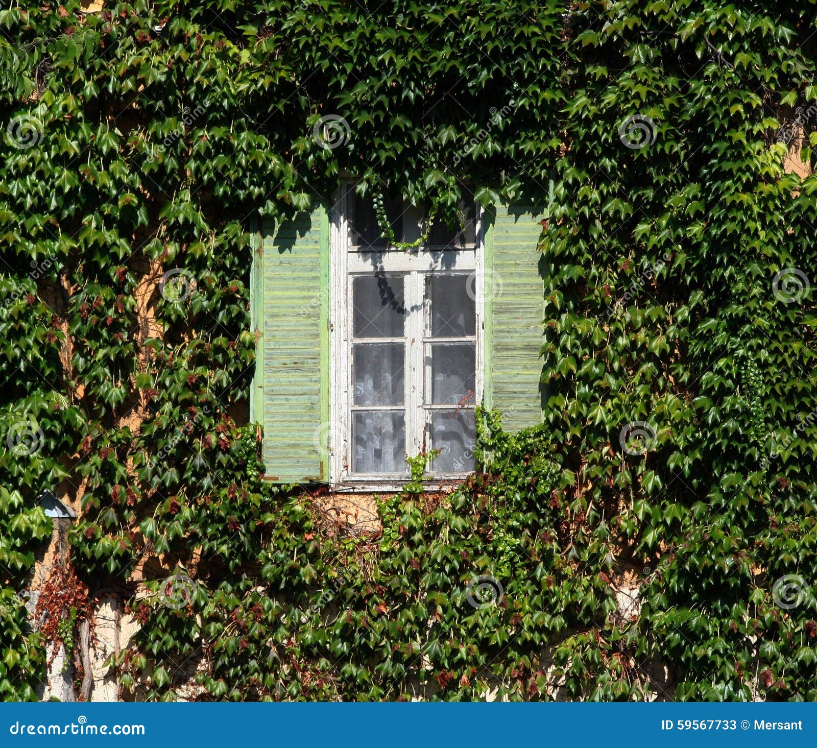 Window stock image. Image of architecture, nature, building - 59567733